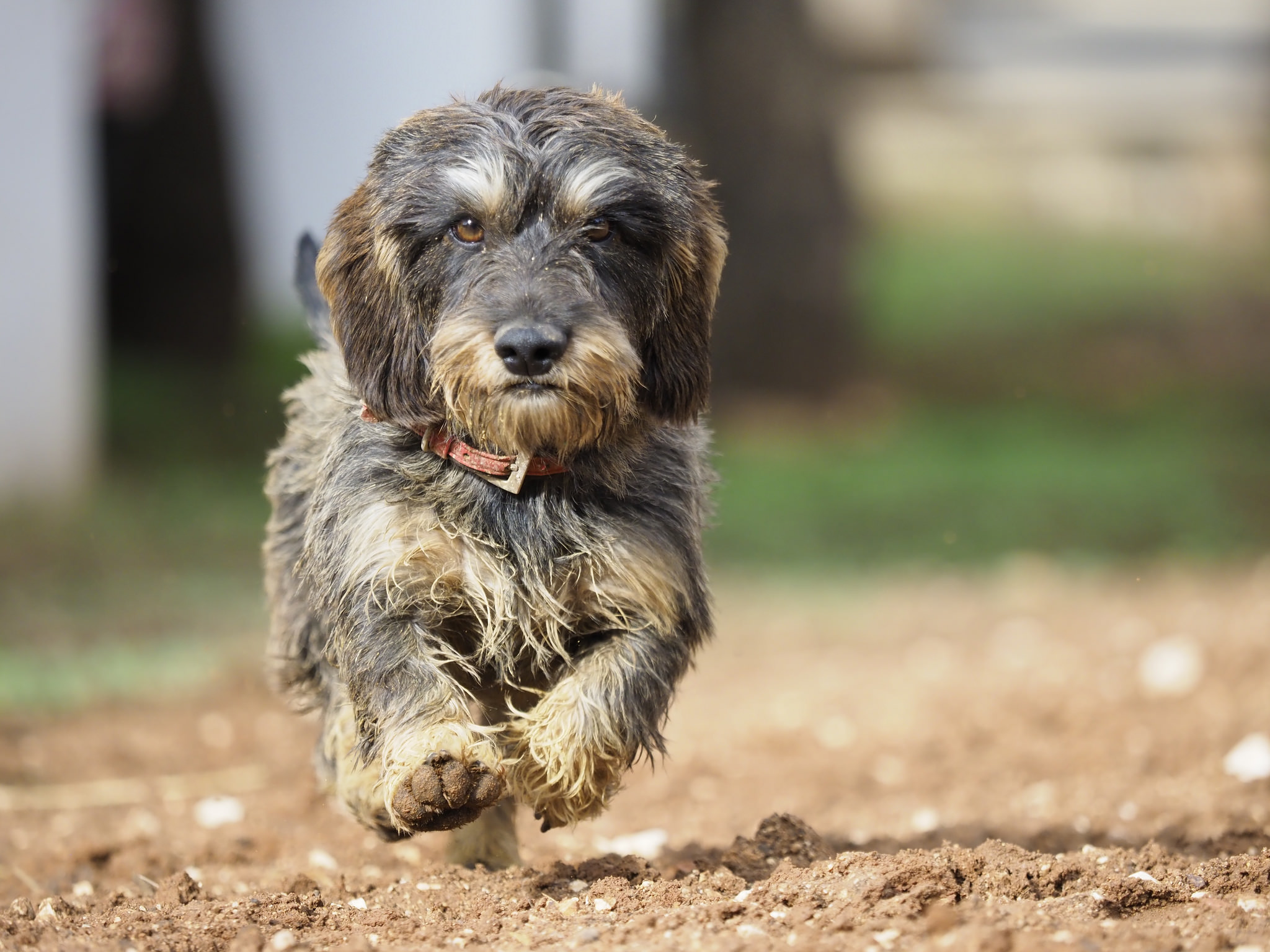 Olympus OMD EM1 Mark II review | Cameralabs