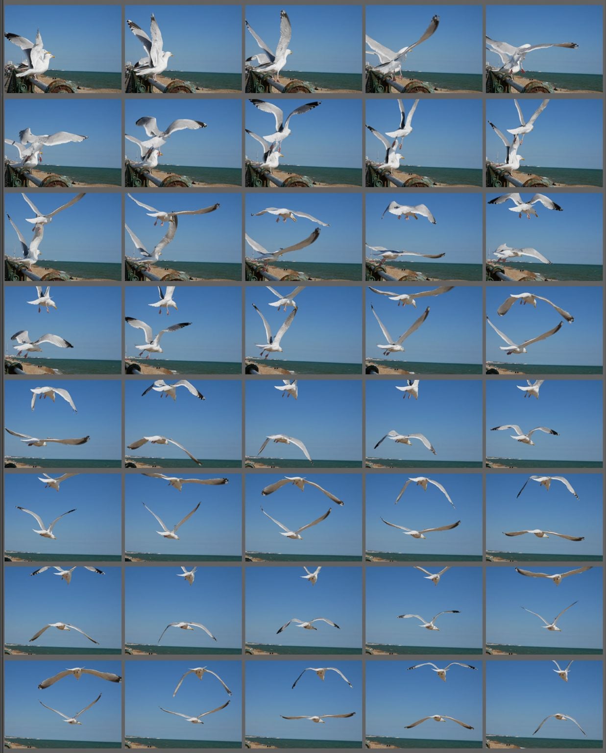 Panasonic Lumix GX800 / GX850 review | Cameralabs