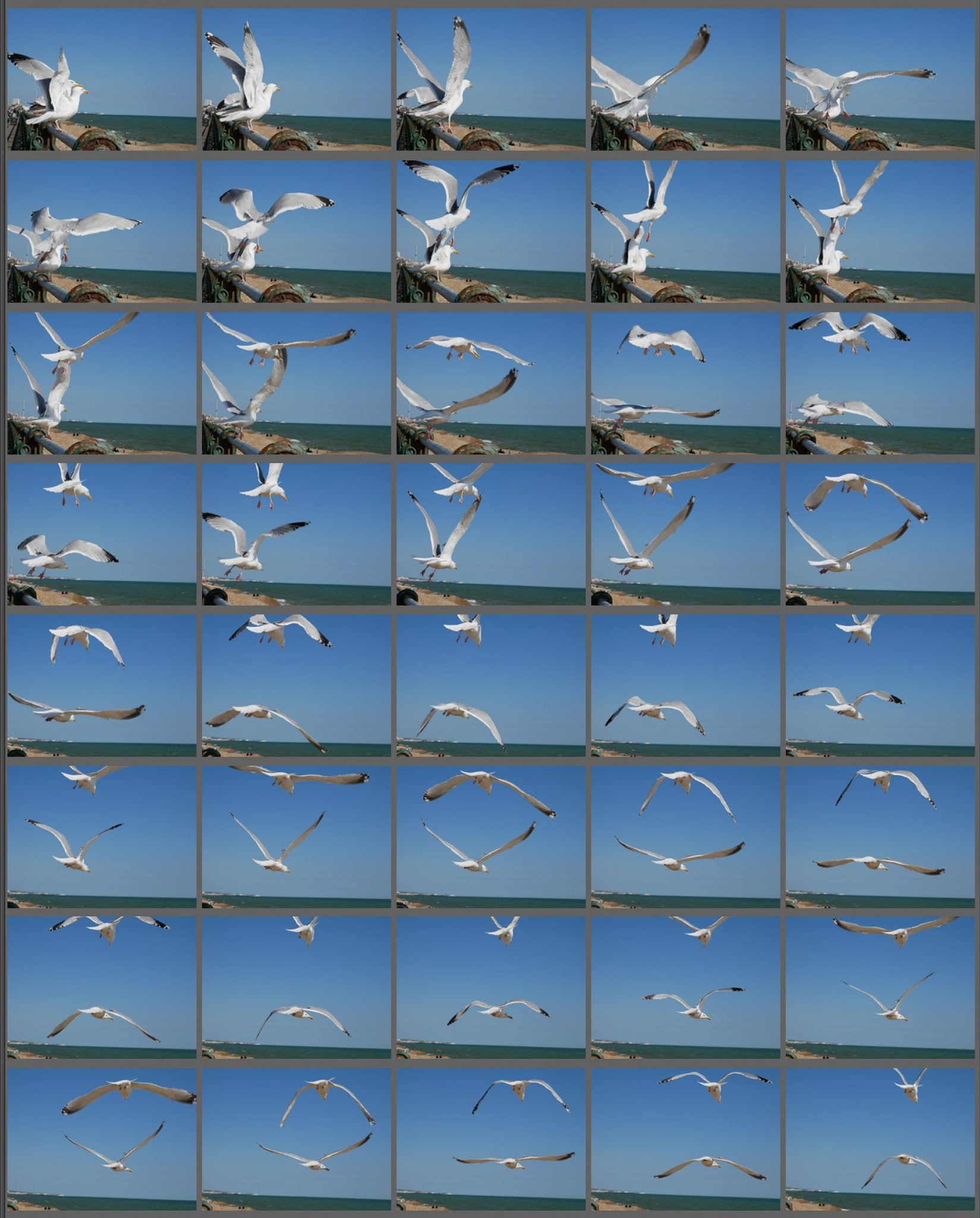 Panasonic Lumix GX800 / GX850 review | Cameralabs