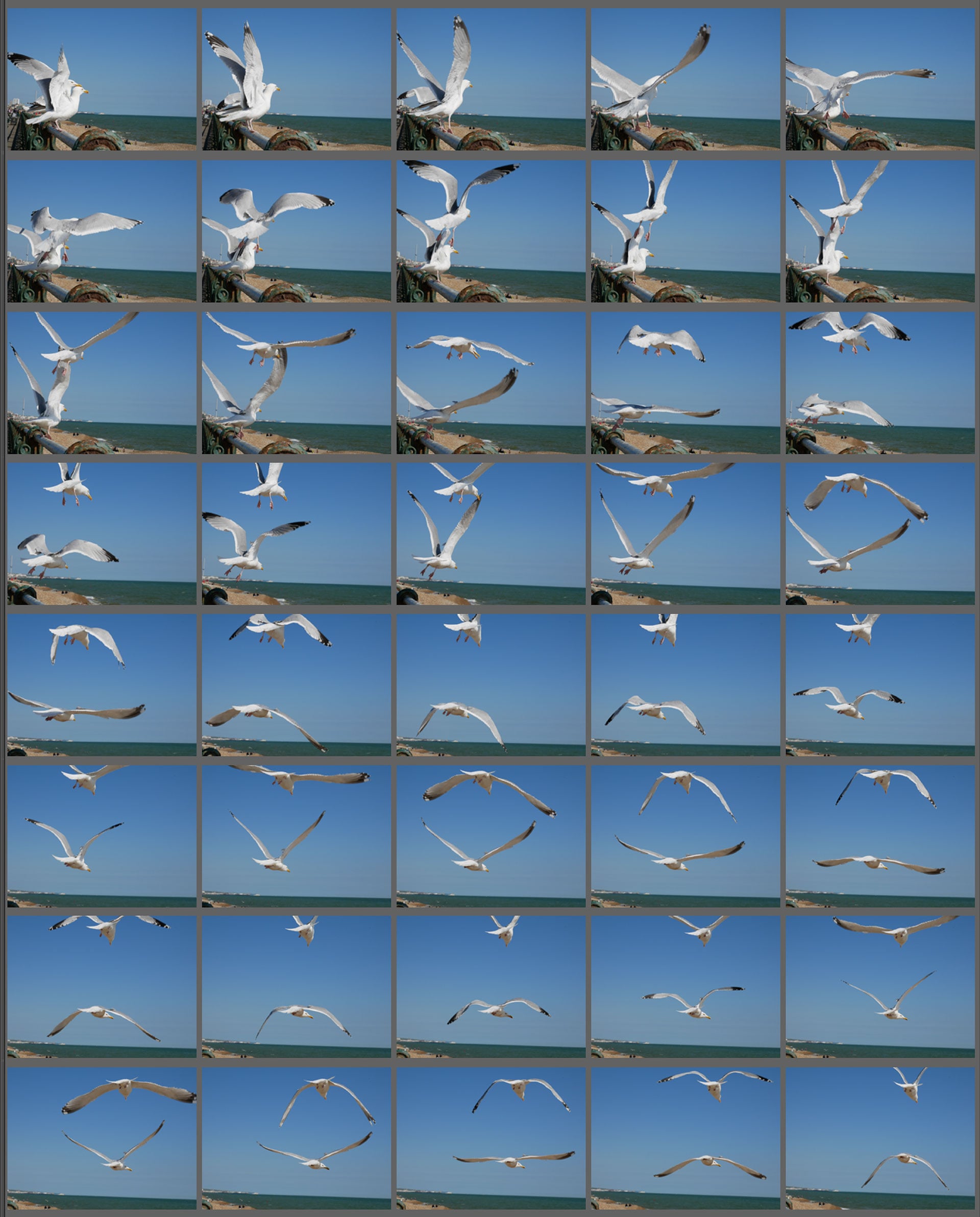 Panasonic Lumix GX800 / GX850 review | Cameralabs