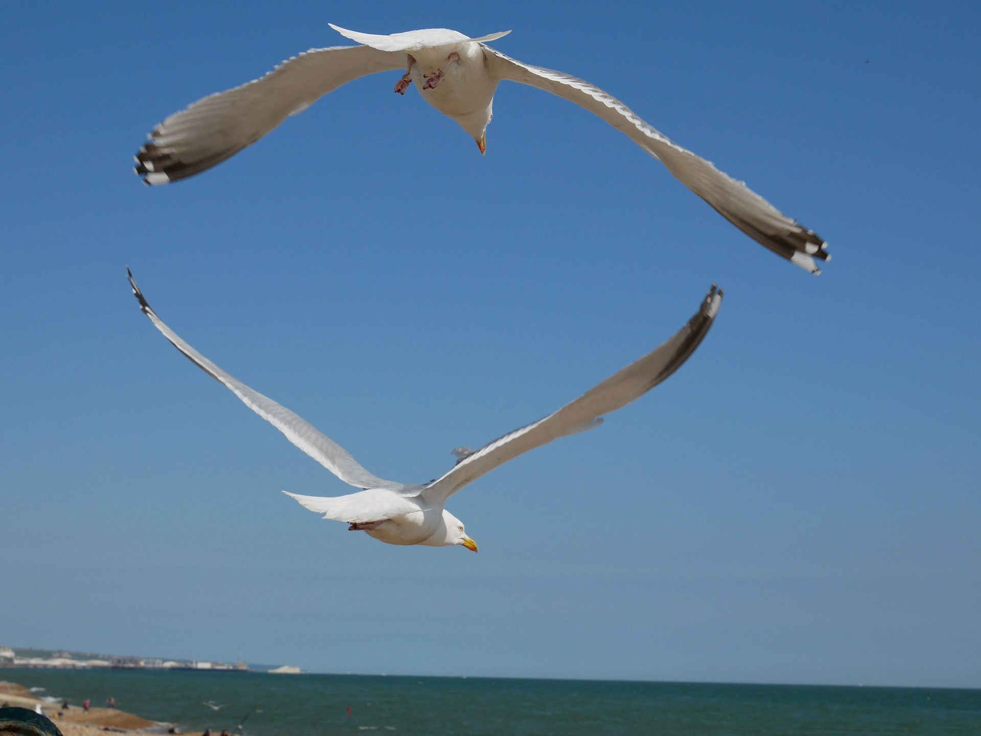 Panasonic Lumix GX800 / GX850 review | Cameralabs