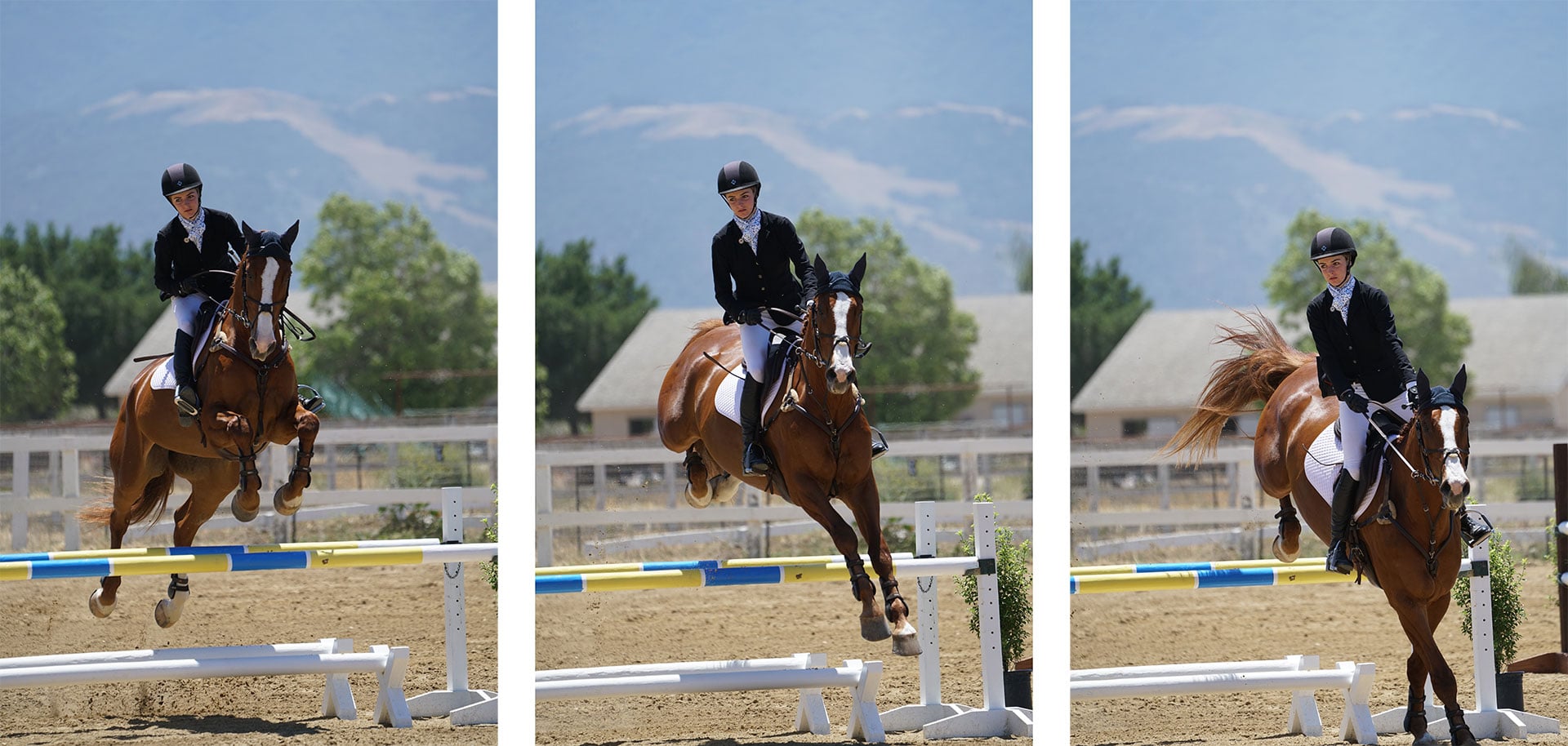 Sony FE 100-400mm f4.5-5.6 GM OSS review | Cameralabs