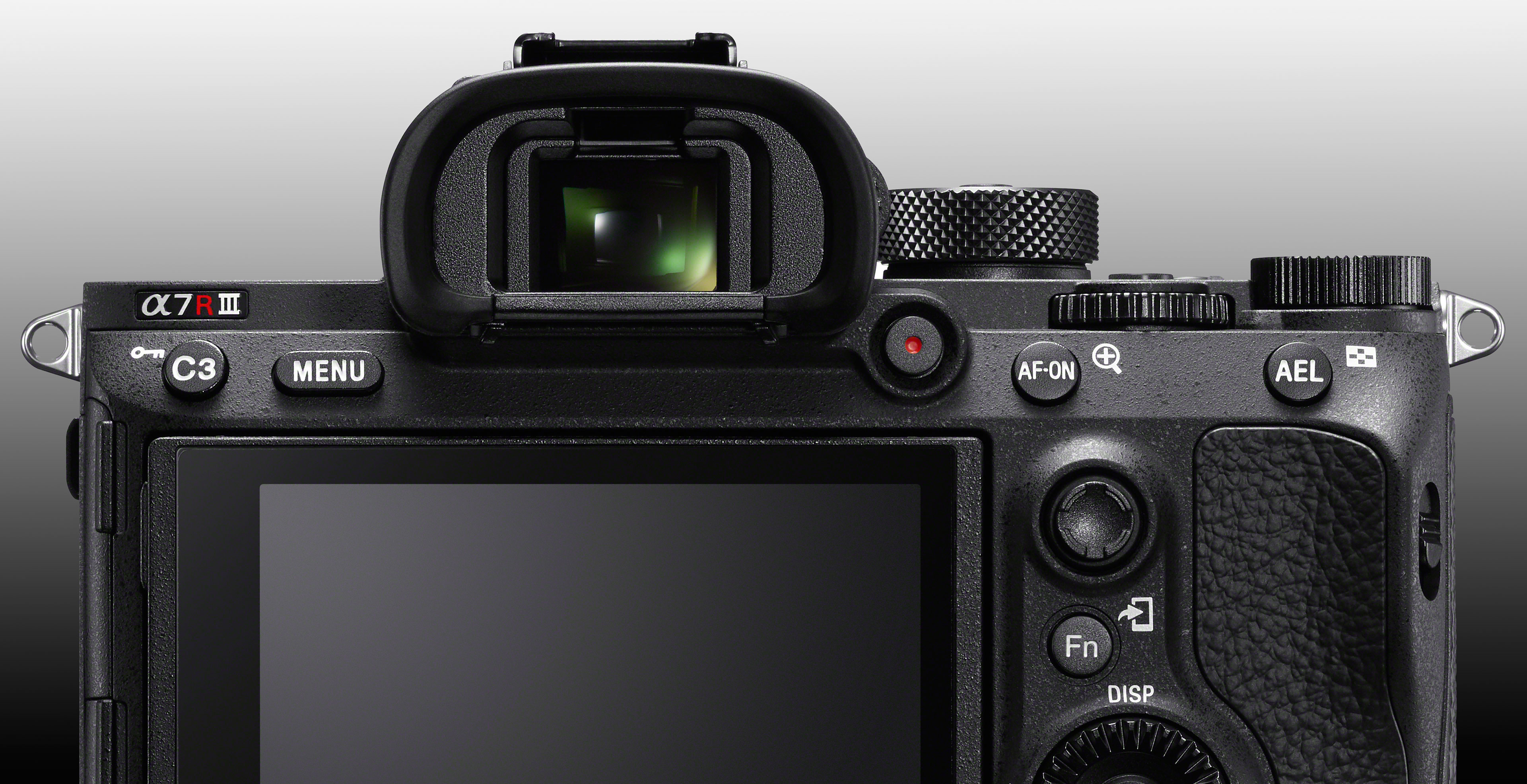 Sony Alpha A7r III preview - | Cameralabs