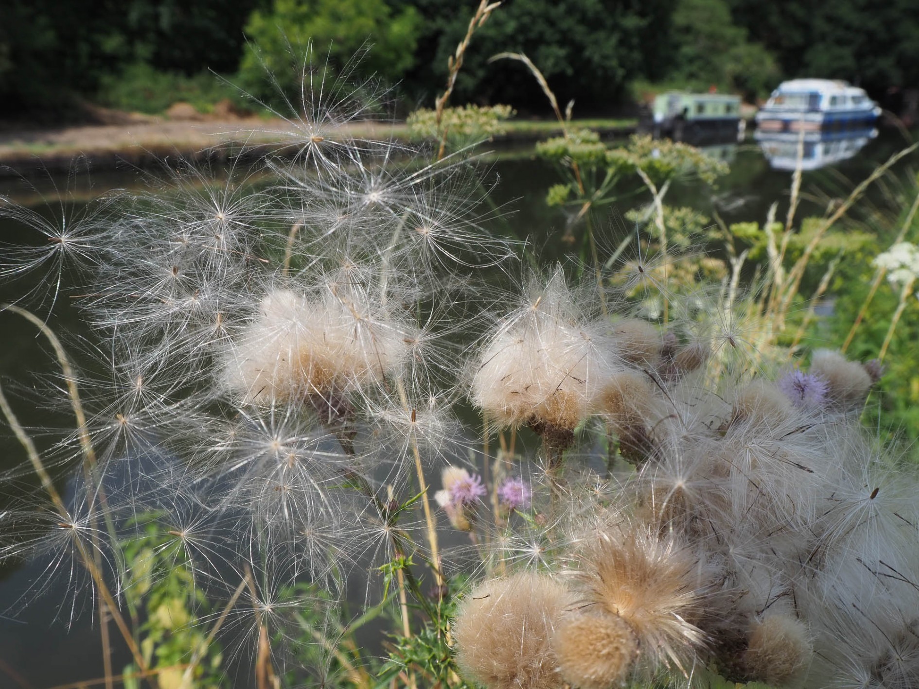 Olympus PEN EPL9 review | Cameralabs