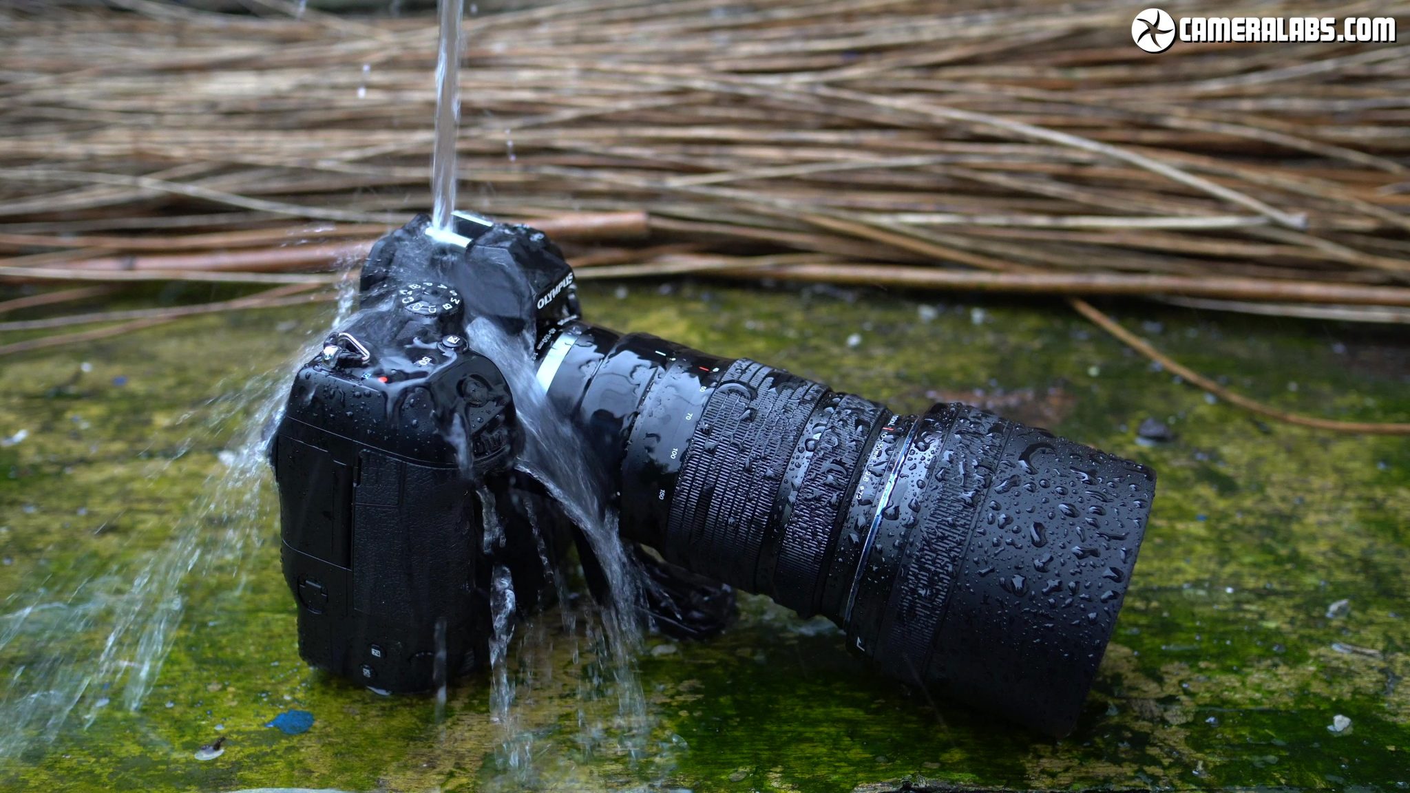 Olympus OM-D E-M1X review | Cameralabs