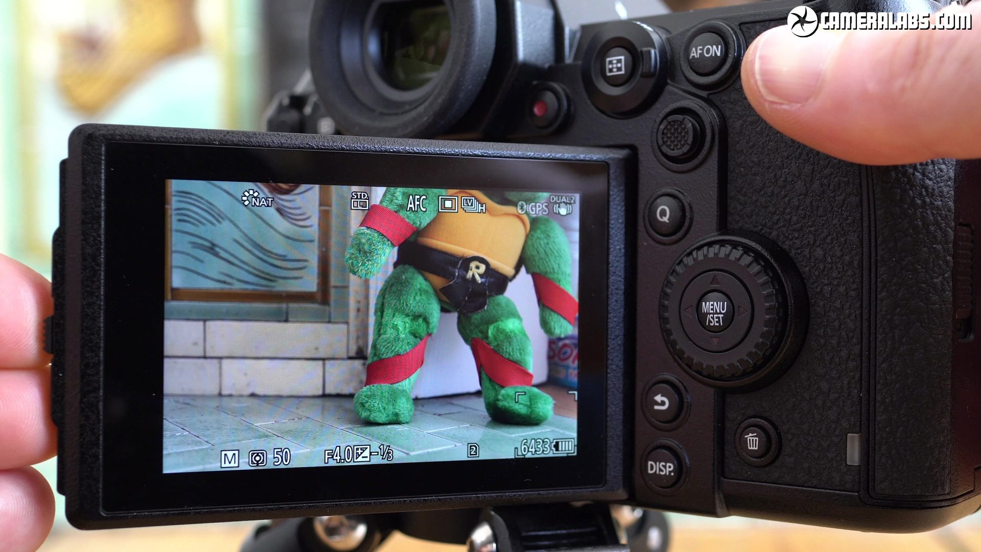 Panasonic Lumix S1 review | Cameralabs