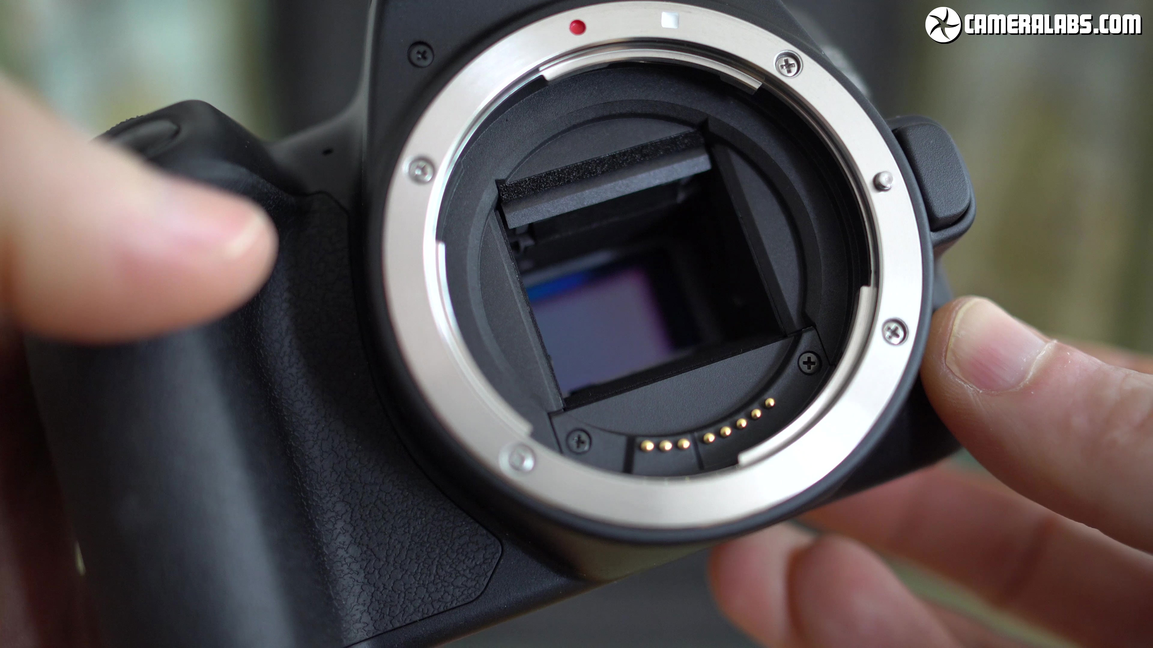 Canon EOS 250D Rebel SL3 review | Cameralabs