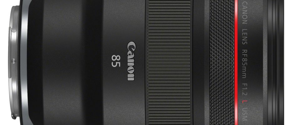 Canon RF 85mm f1.2L USM review – preview | Cameralabs