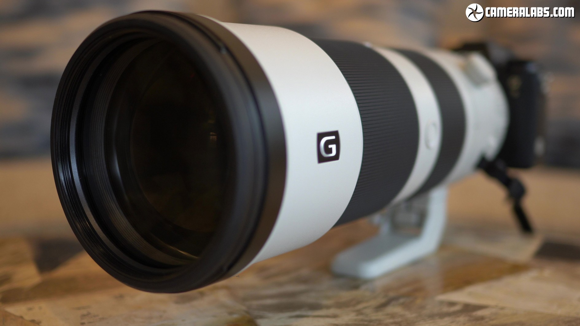 Sony FE 200-600mm f5.6-6.3 G OSS review so far | Cameralabs