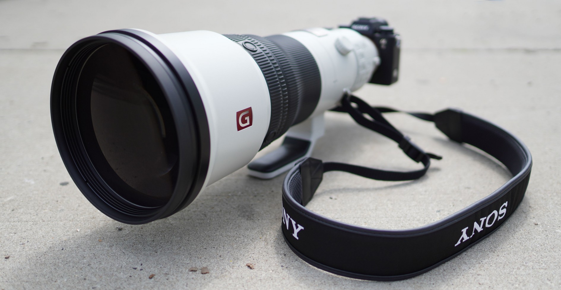 Sony FE 600mm f4 GM OSS review so far | Cameralabs