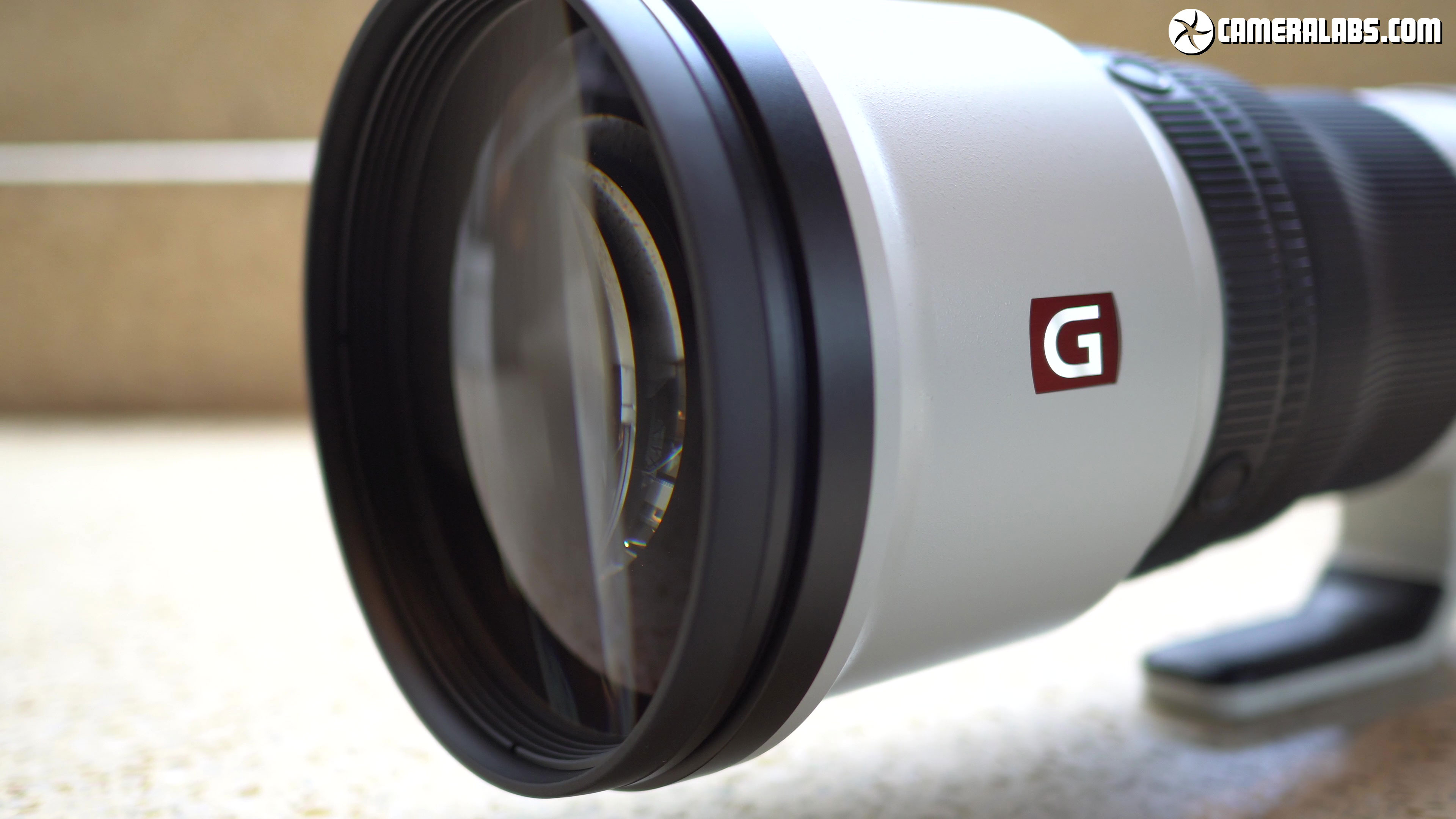 Sony FE 600mm f4 GM OSS review so far | Cameralabs