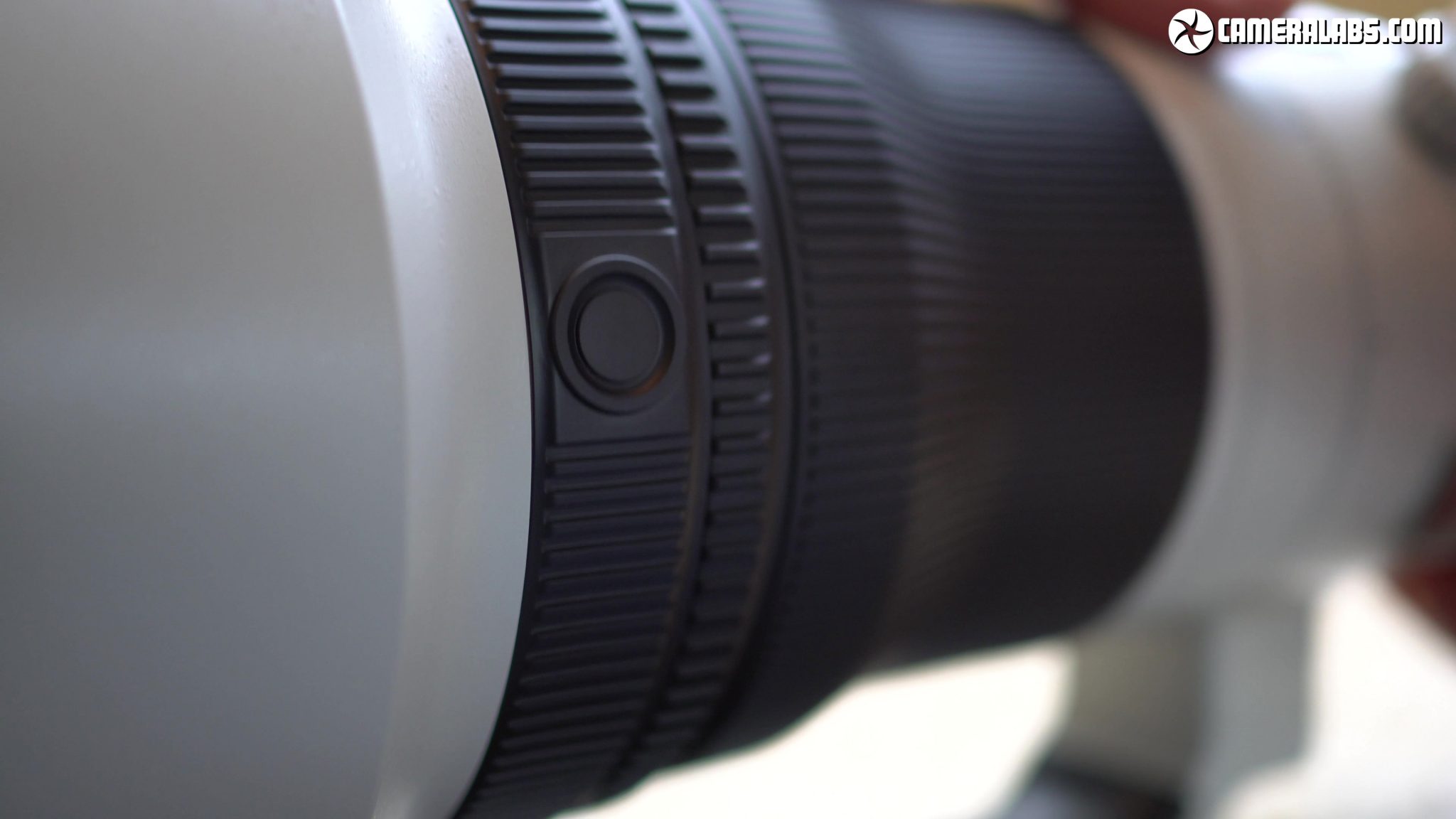 Sony FE 600mm f4 GM OSS review so far | Cameralabs