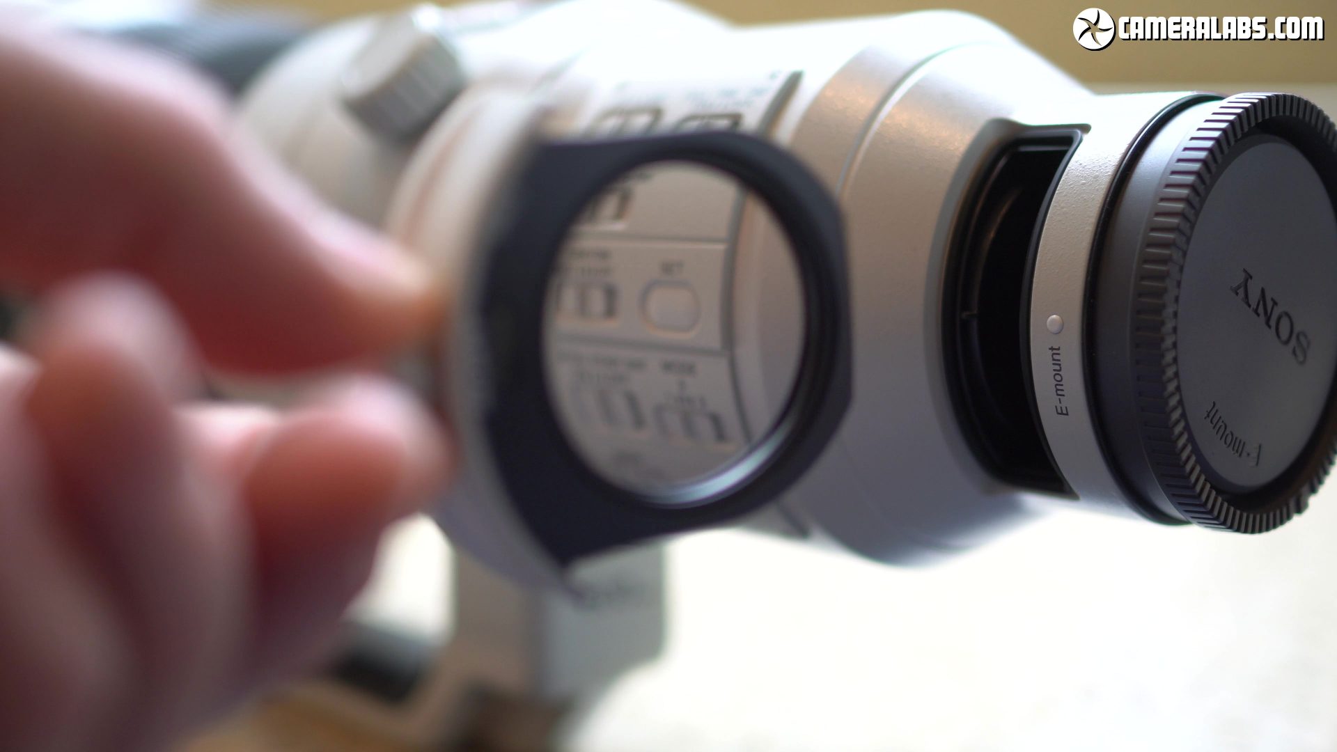 Sony FE 600mm f4 GM OSS review so far | Cameralabs