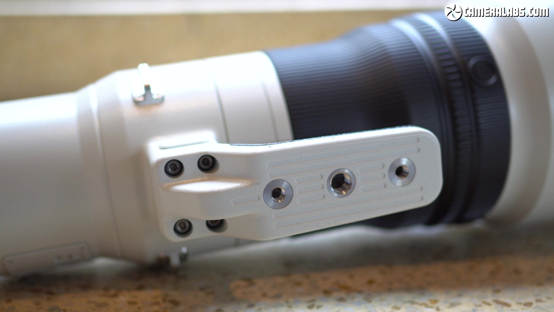 Sony FE 600mm f4 GM OSS review so far | Cameralabs