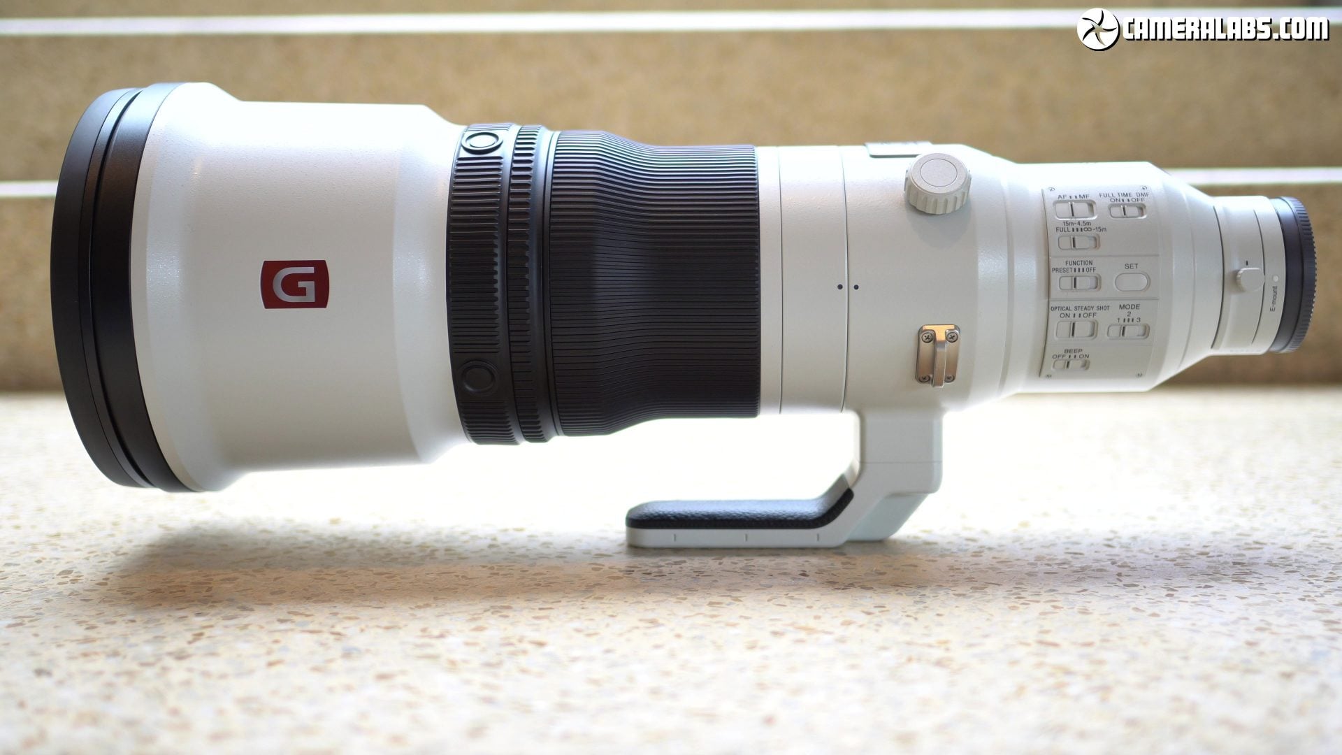 Sony FE 600mm f4 GM OSS review so far | Cameralabs