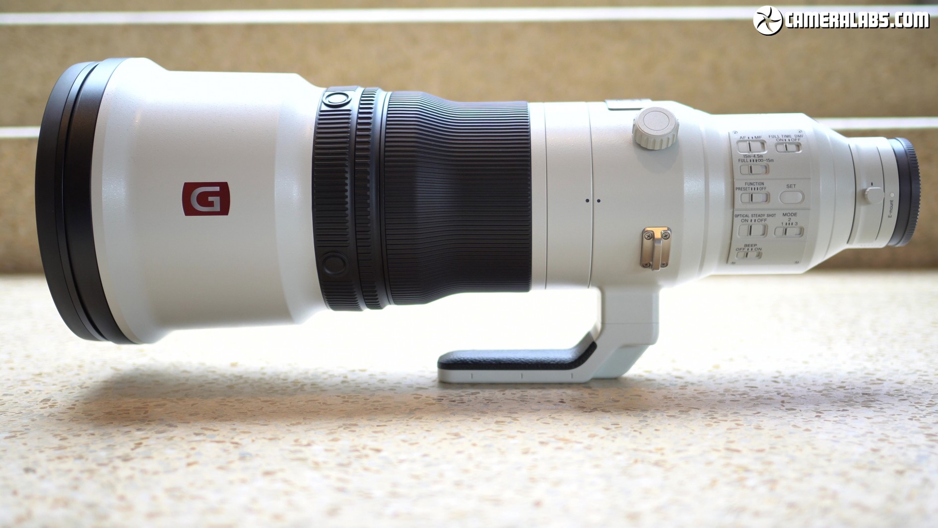 Sony FE 600mm f4 GM OSS review so far | Cameralabs