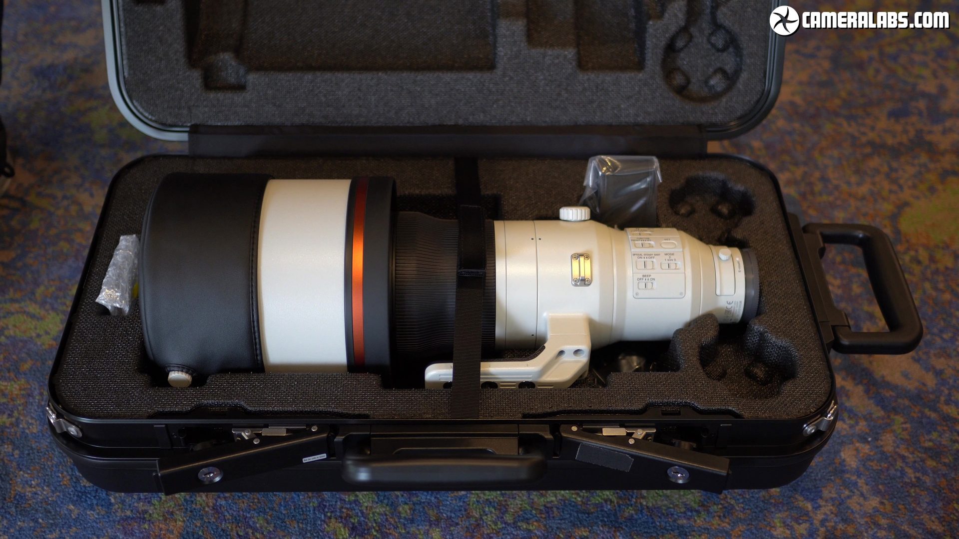 Sony FE 600mm f4 GM OSS review so far | Cameralabs