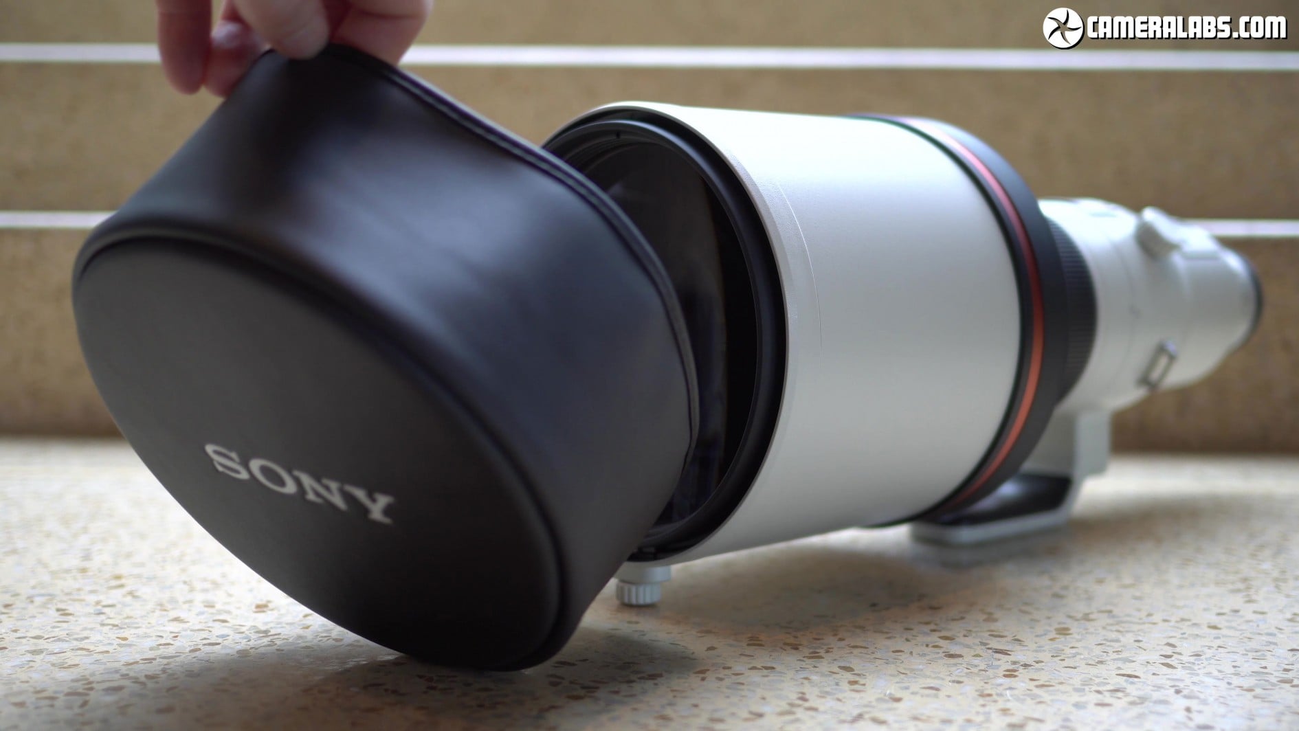 Sony FE 600mm f4 GM OSS review so far | Cameralabs