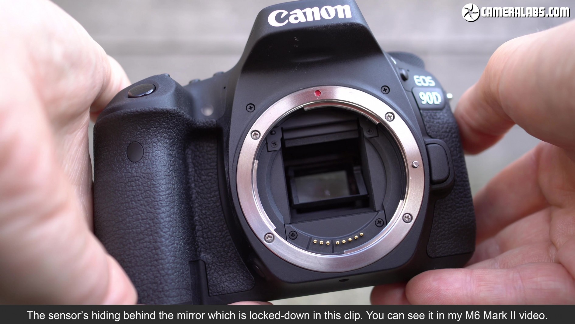 Canon EOS 90D review | Cameralabs