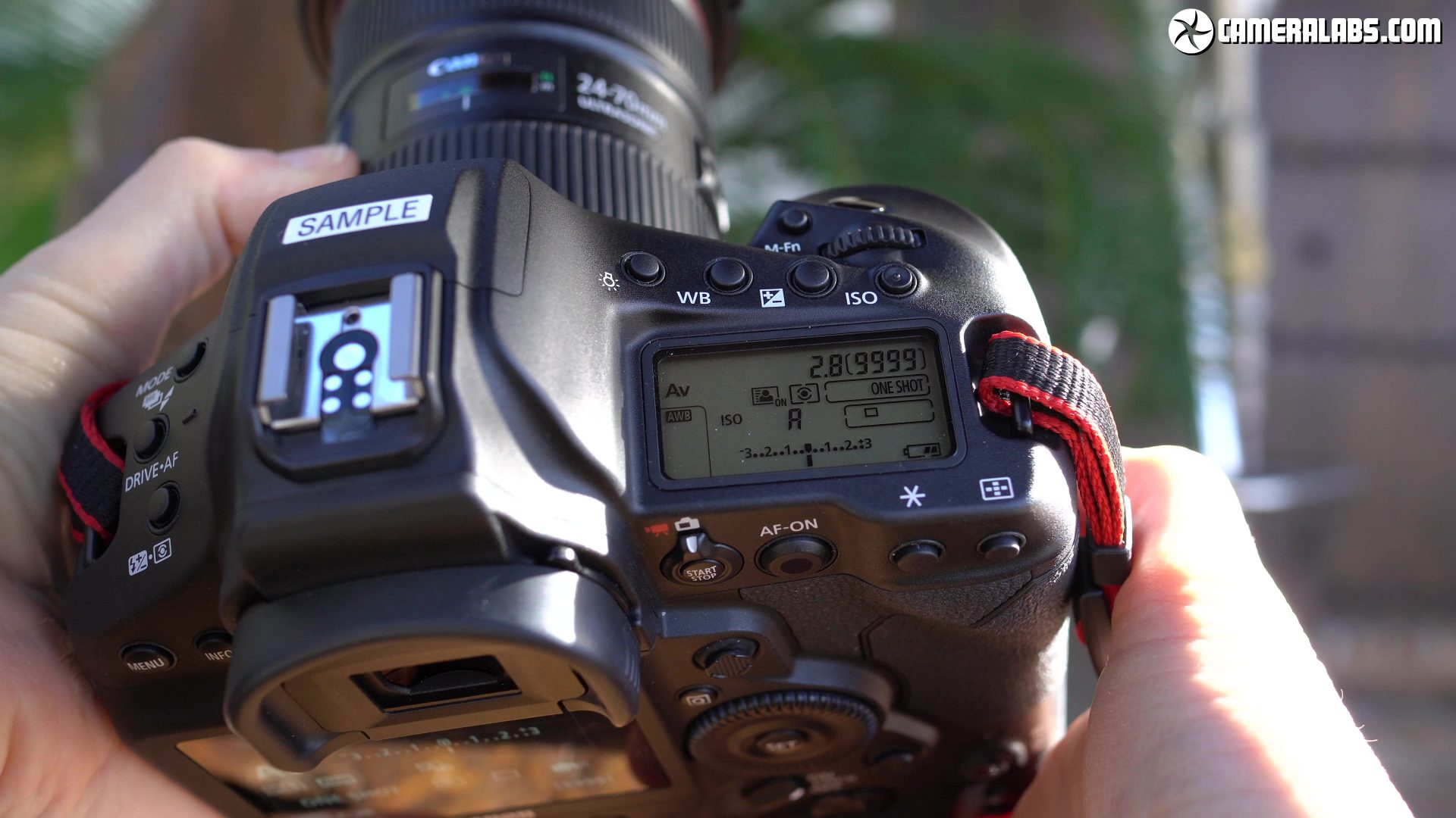 Canon EOS 1Dx III review | Cameralabs