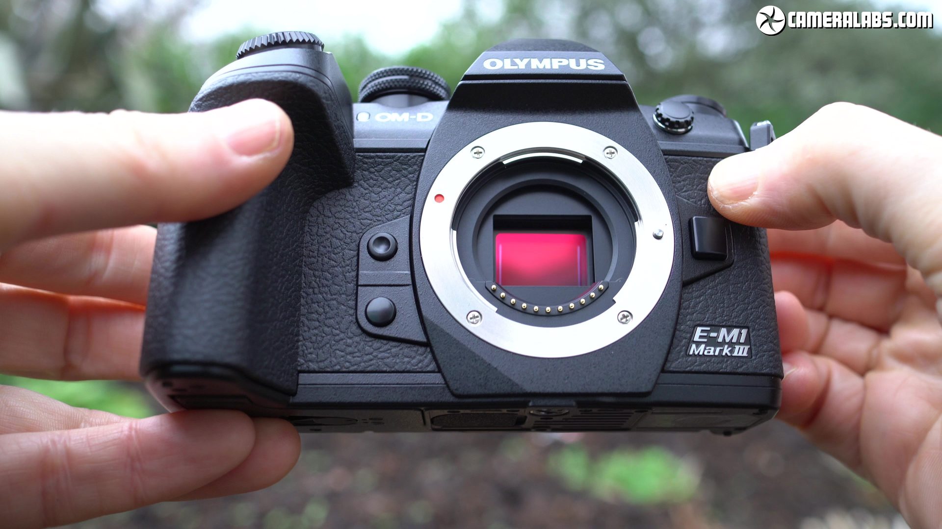 Olympus OMD EM1 III review so far | Cameralabs
