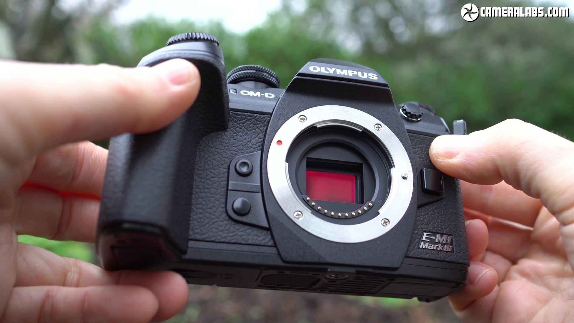 Olympus OMD EM1 III review so far | Cameralabs