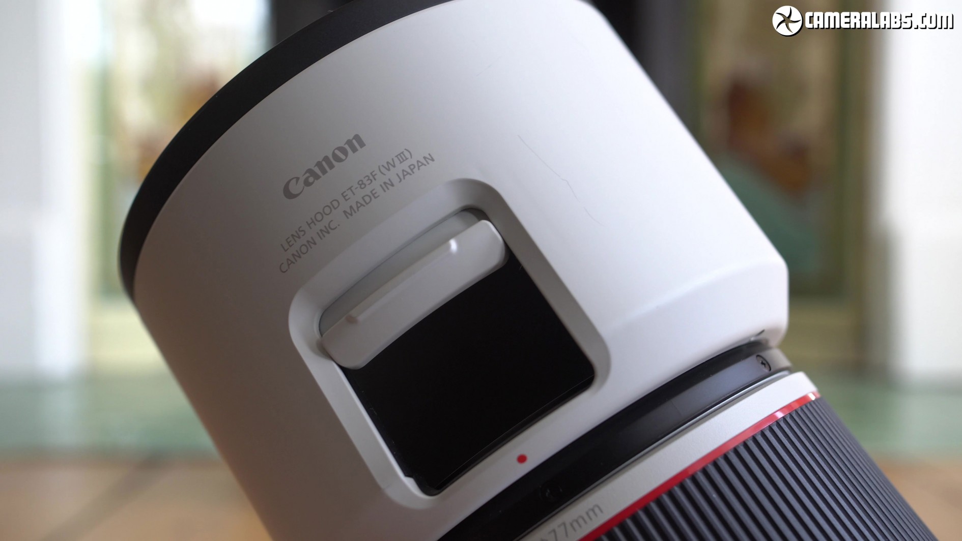 Canon RF 70-200mm f2.8L IS USM review | Cameralabs
