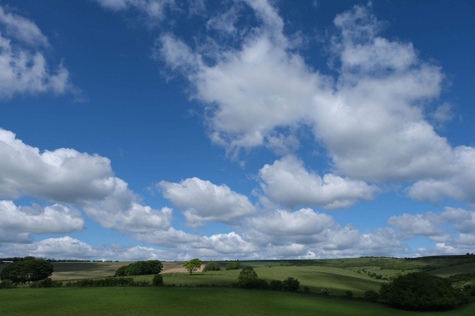 Fujifilm XT4 review | Cameralabs