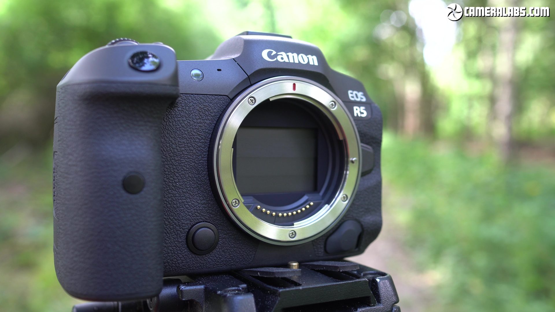 Canon EOS R5 review | Cameralabs