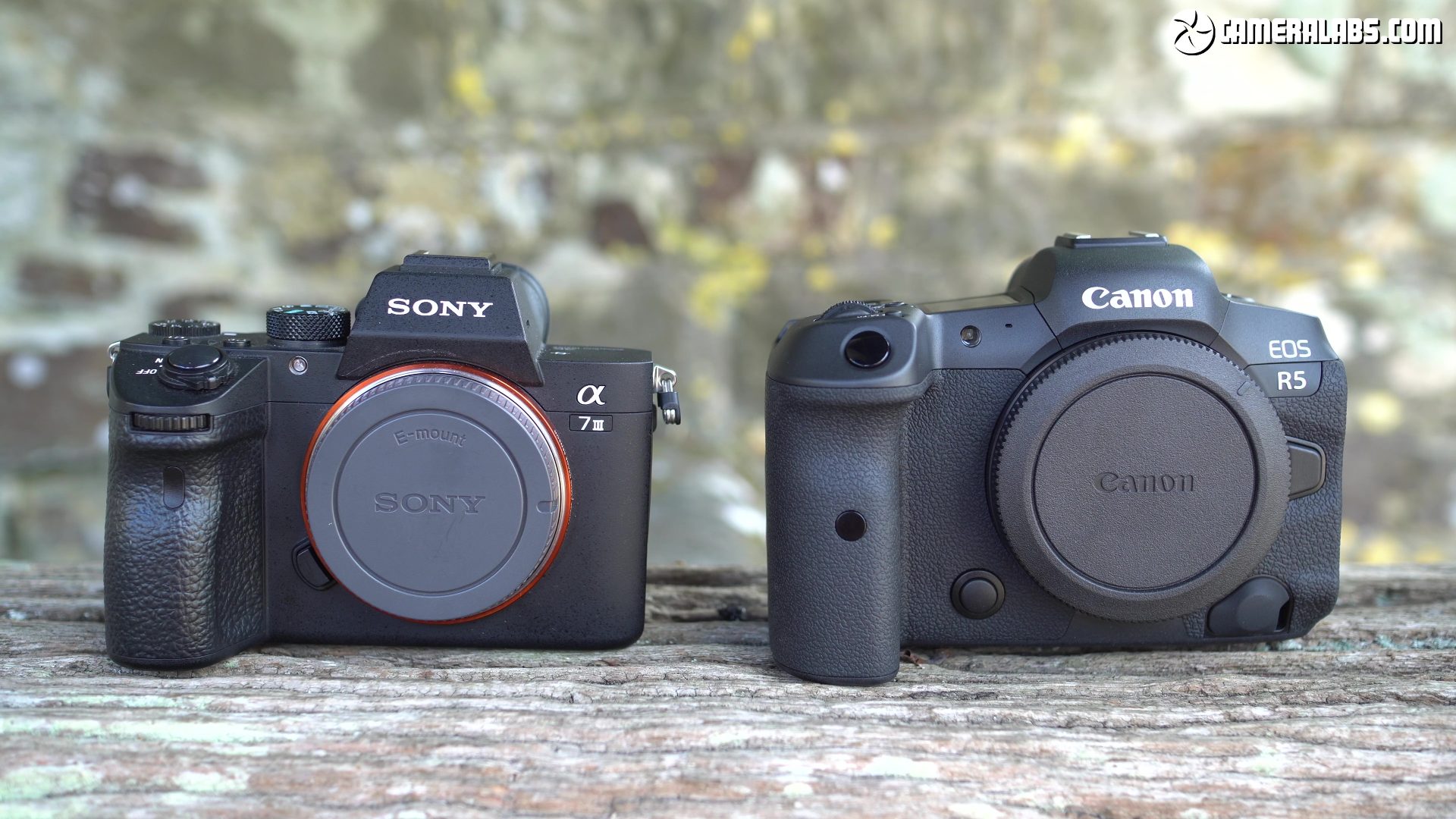 Canon EOS R5 review | Cameralabs