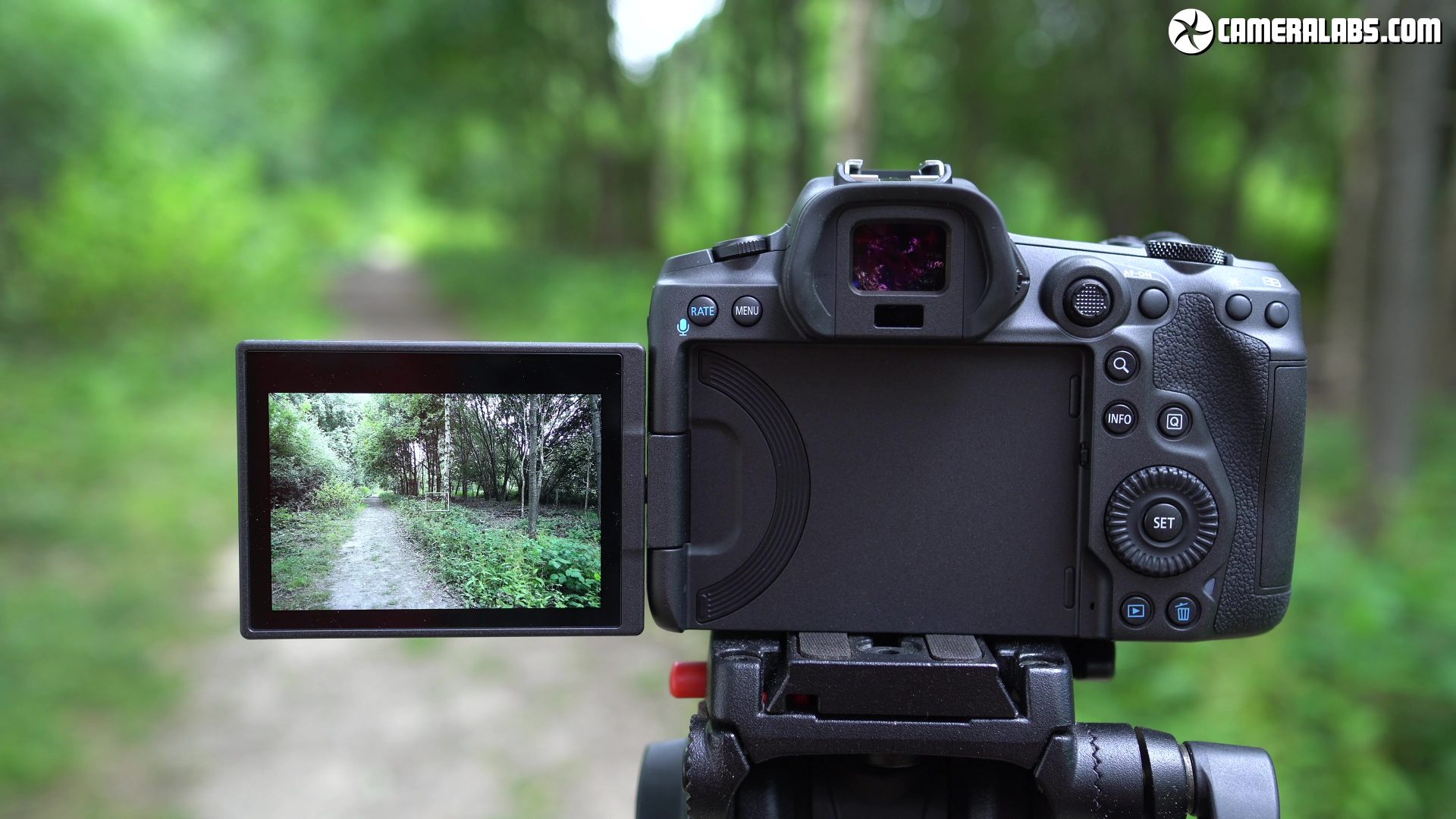 Canon EOS R5 review | Cameralabs