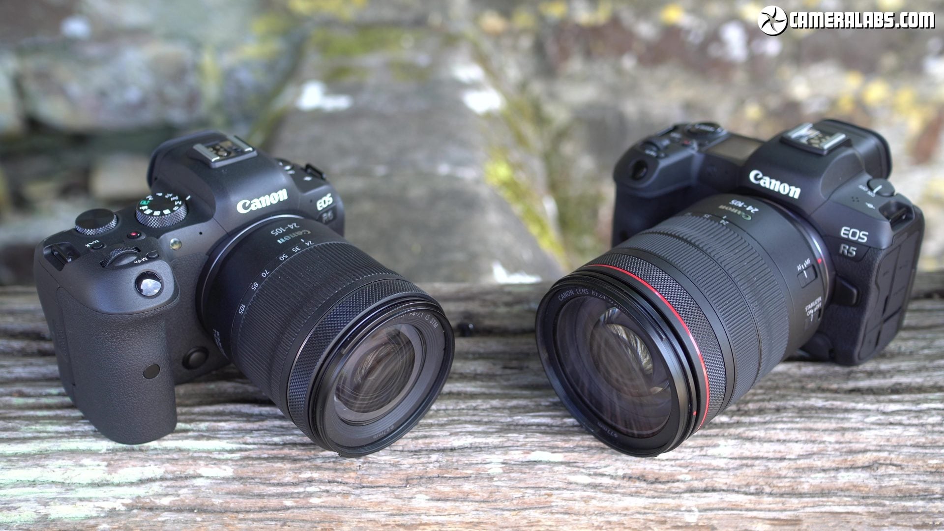Canon EOS R6 review | Cameralabs