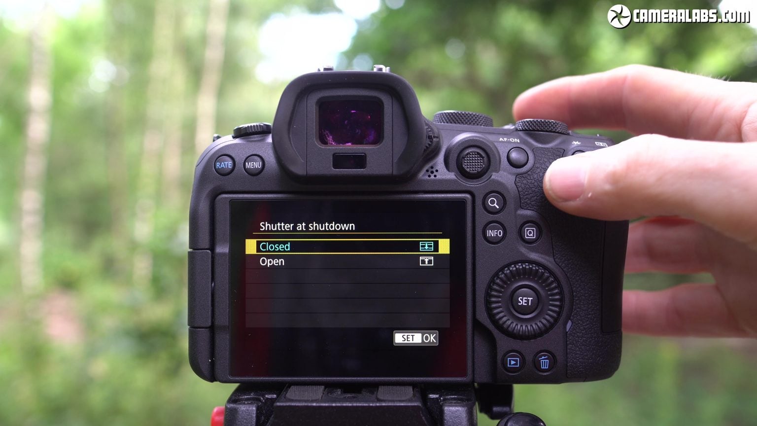 Canon EOS R6 review | Cameralabs