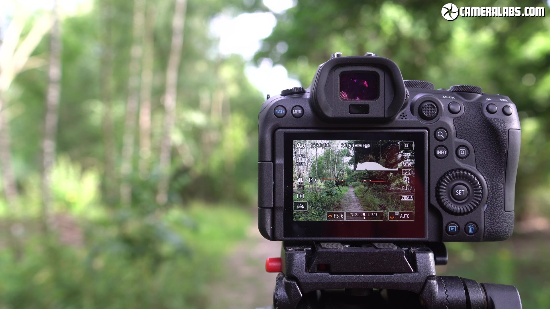 Canon EOS R6 review | Cameralabs