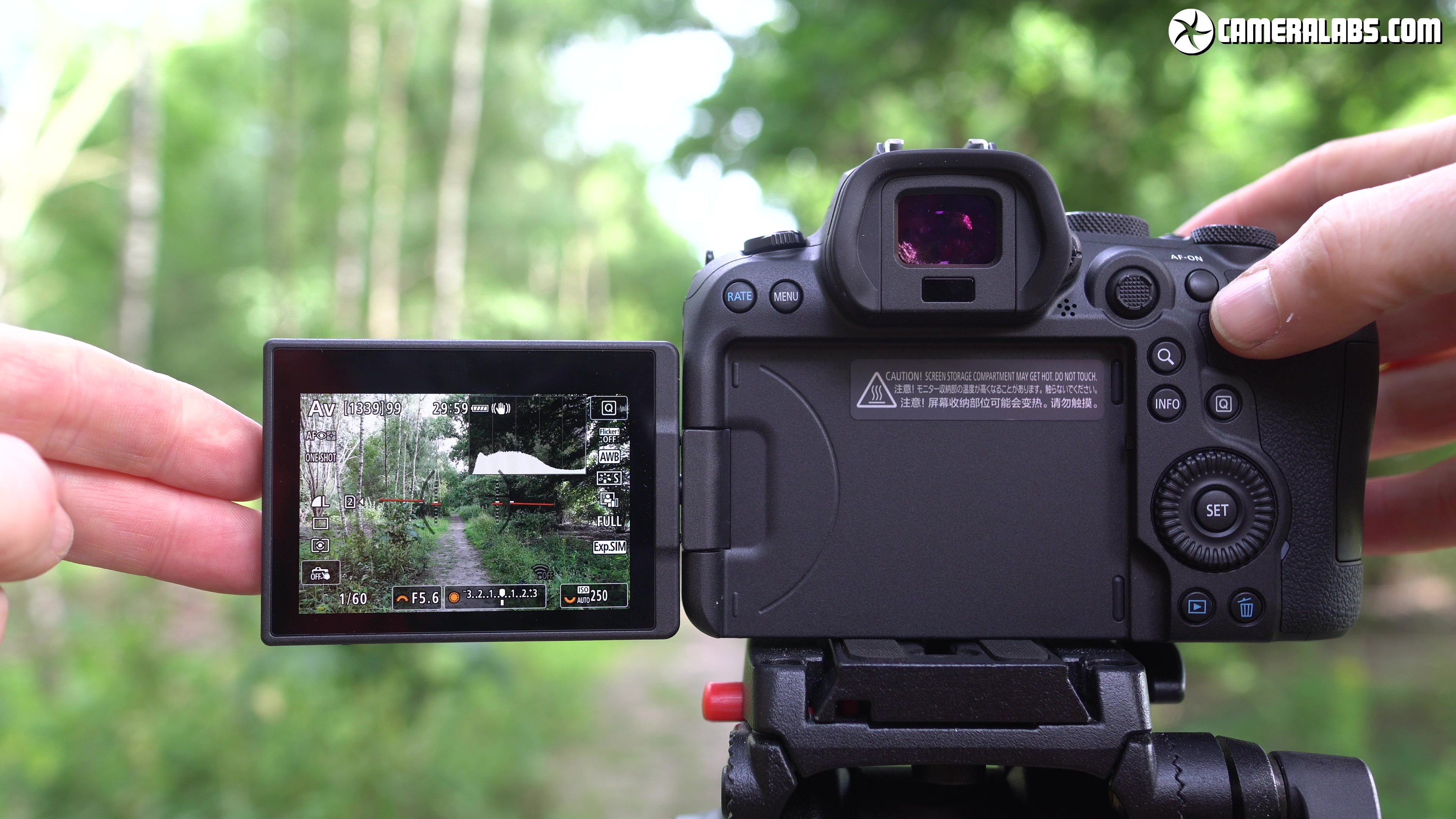 Canon EOS R6 review | Cameralabs