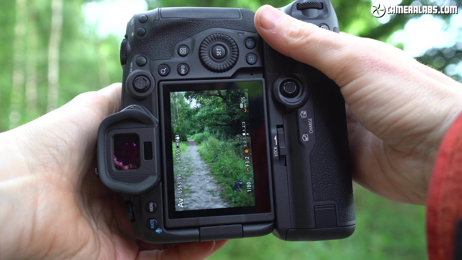 Canon EOS R6 review | Cameralabs