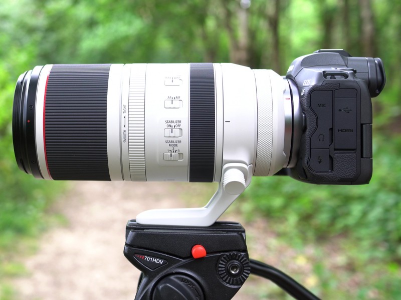 Canon RF 100-500mm f4.5-7.1L review | Cameralabs