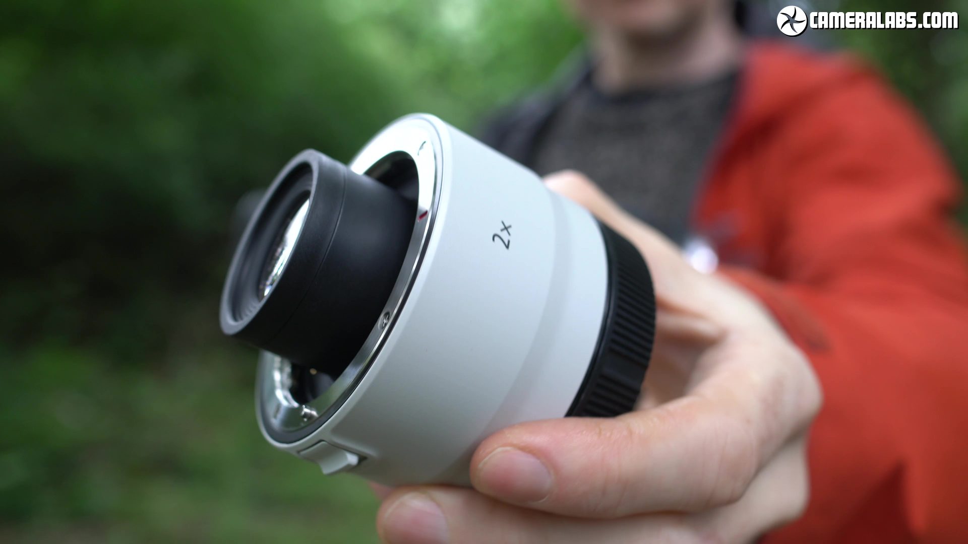 Canon RF 600mm / 800mm f11 review | Cameralabs