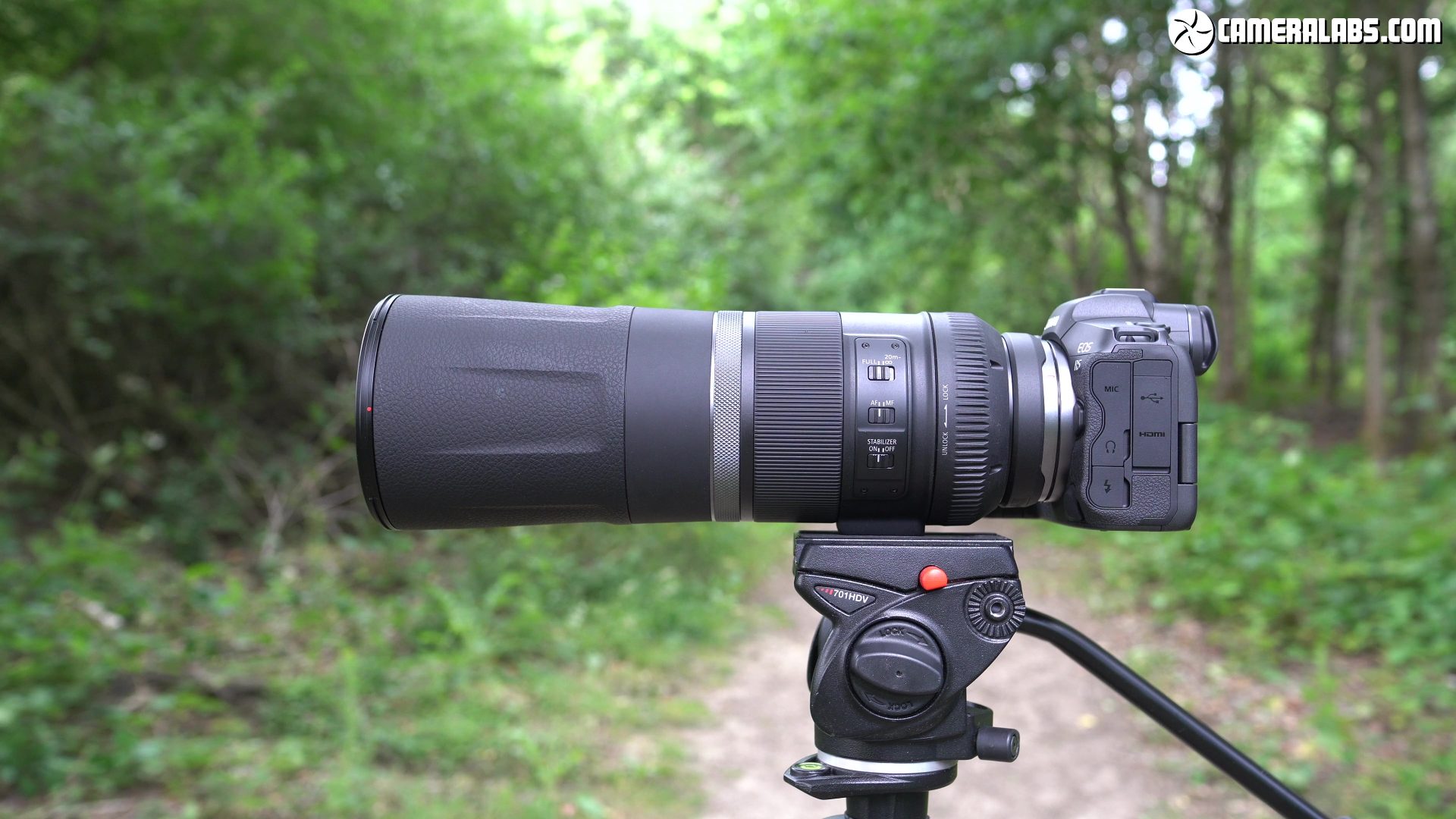 Canon RF 600mm / 800mm f11 review | Cameralabs