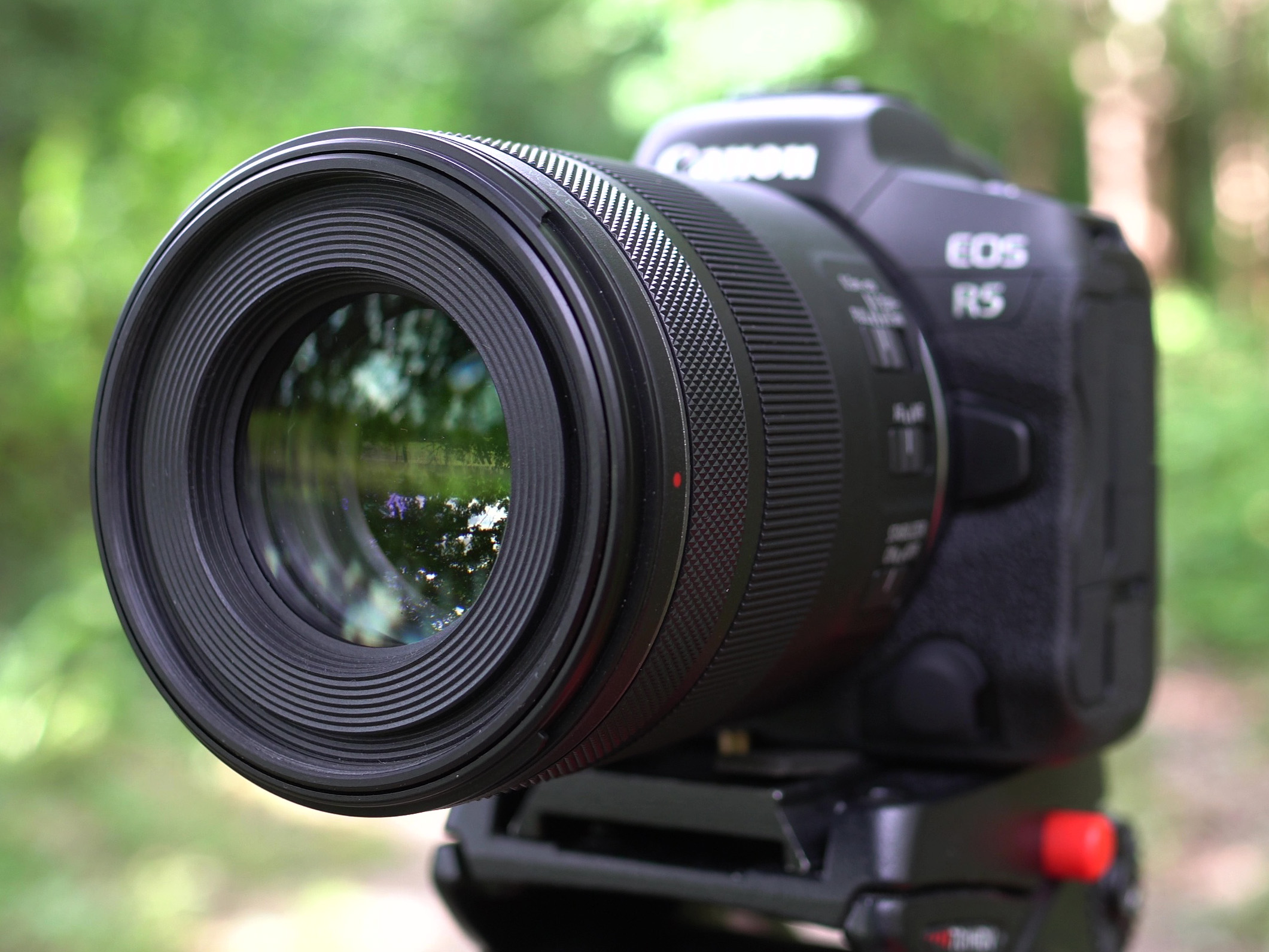 Canon RF 85mm f2 Macro review so far - | Cameralabs