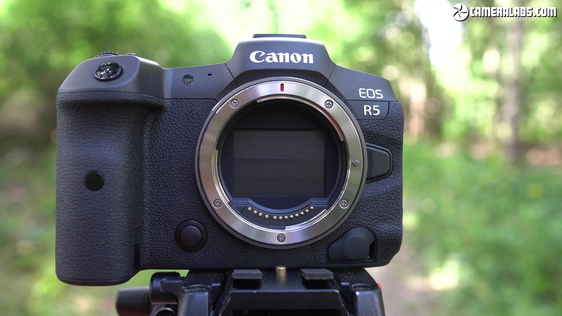 Canon EOS R5 review - | Cameralabs