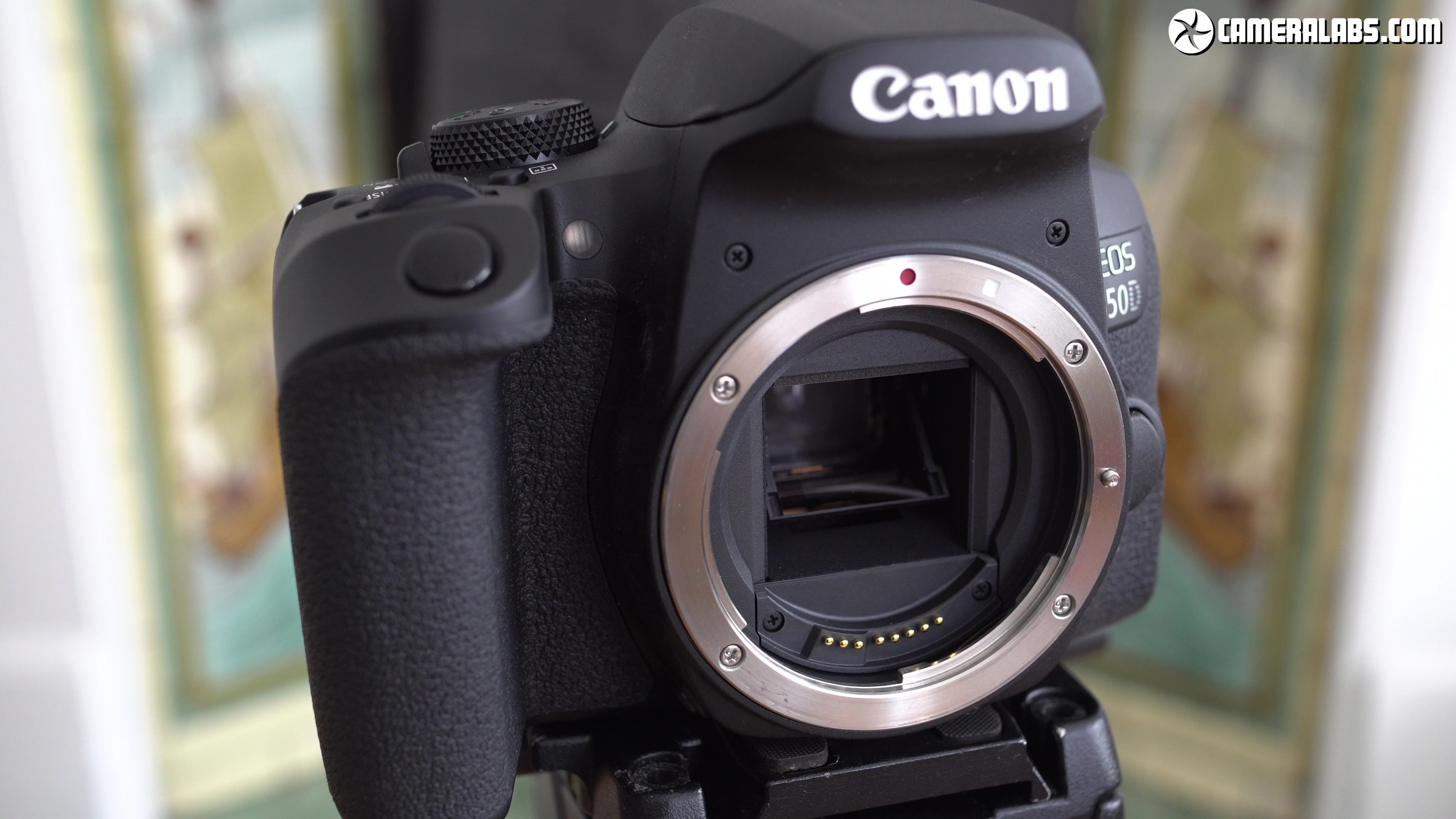 Canon EOS 850D Rebel T8i review | Cameralabs