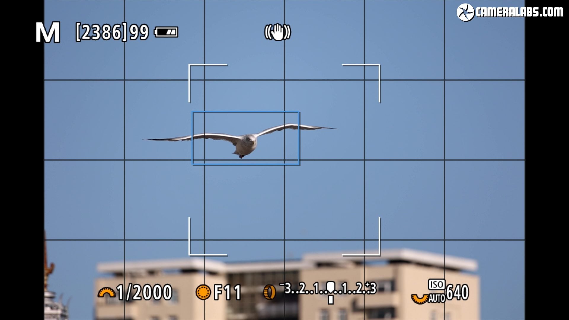 Canon RF 600mm / 800mm f11 review | Cameralabs