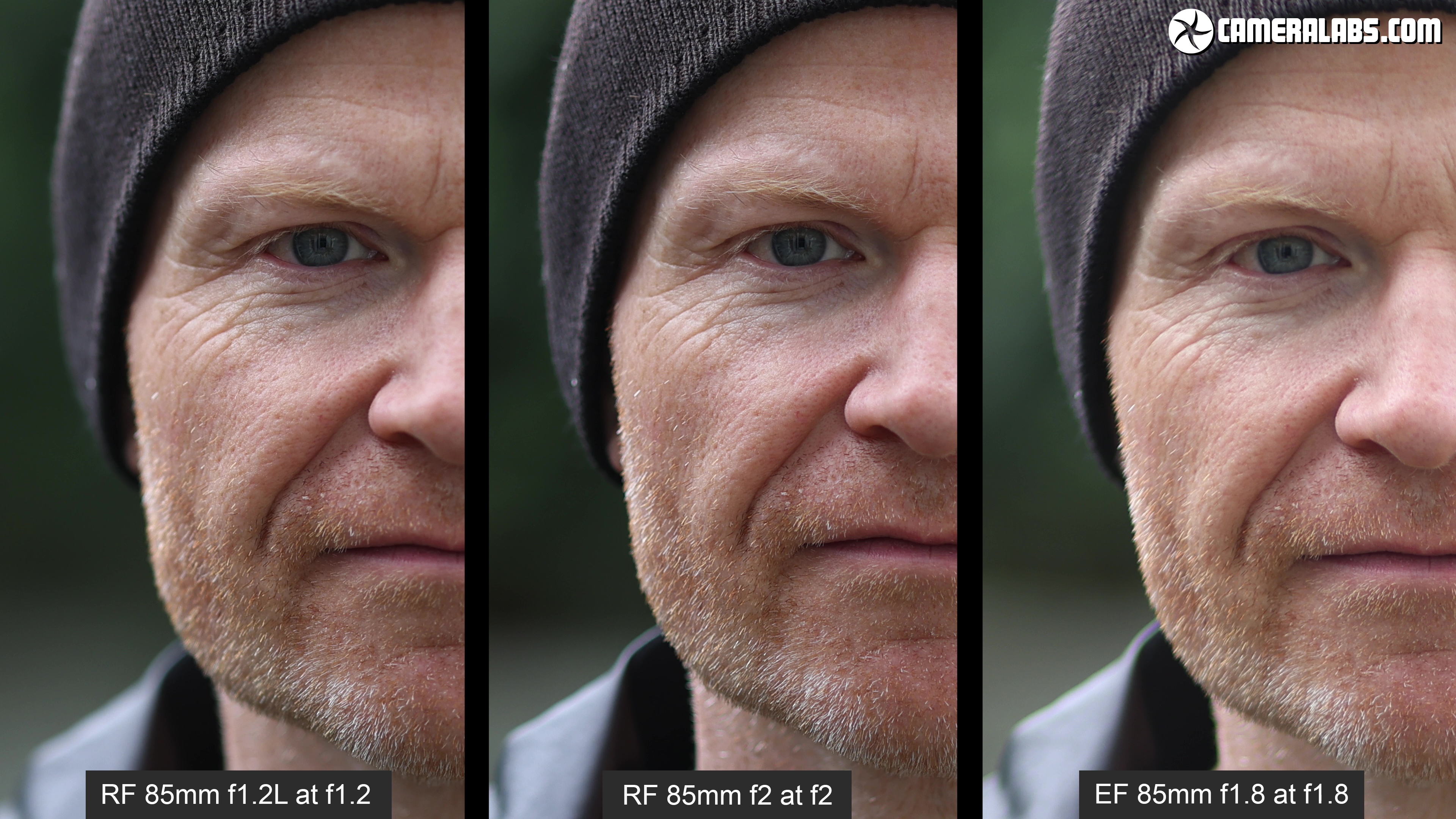 Canon RF 85mm f2 Macro review | Cameralabs