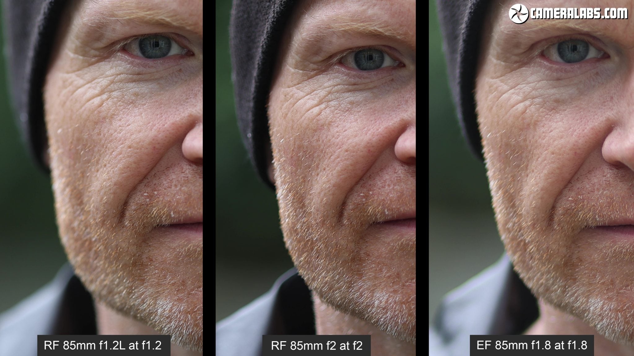 Canon RF 85mm f2 Macro review | Cameralabs