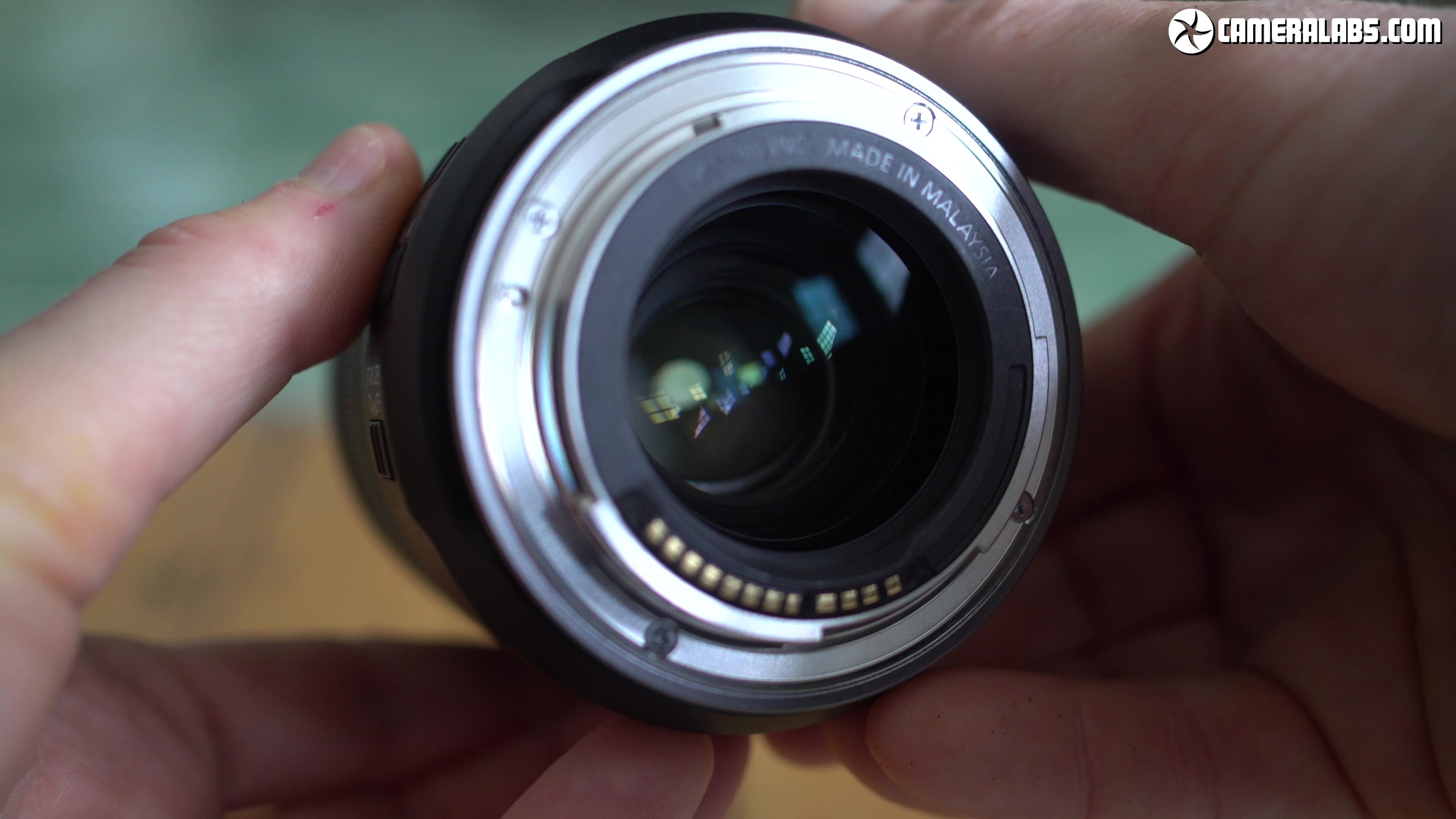 Canon RF 85mm f2 Macro review | Cameralabs