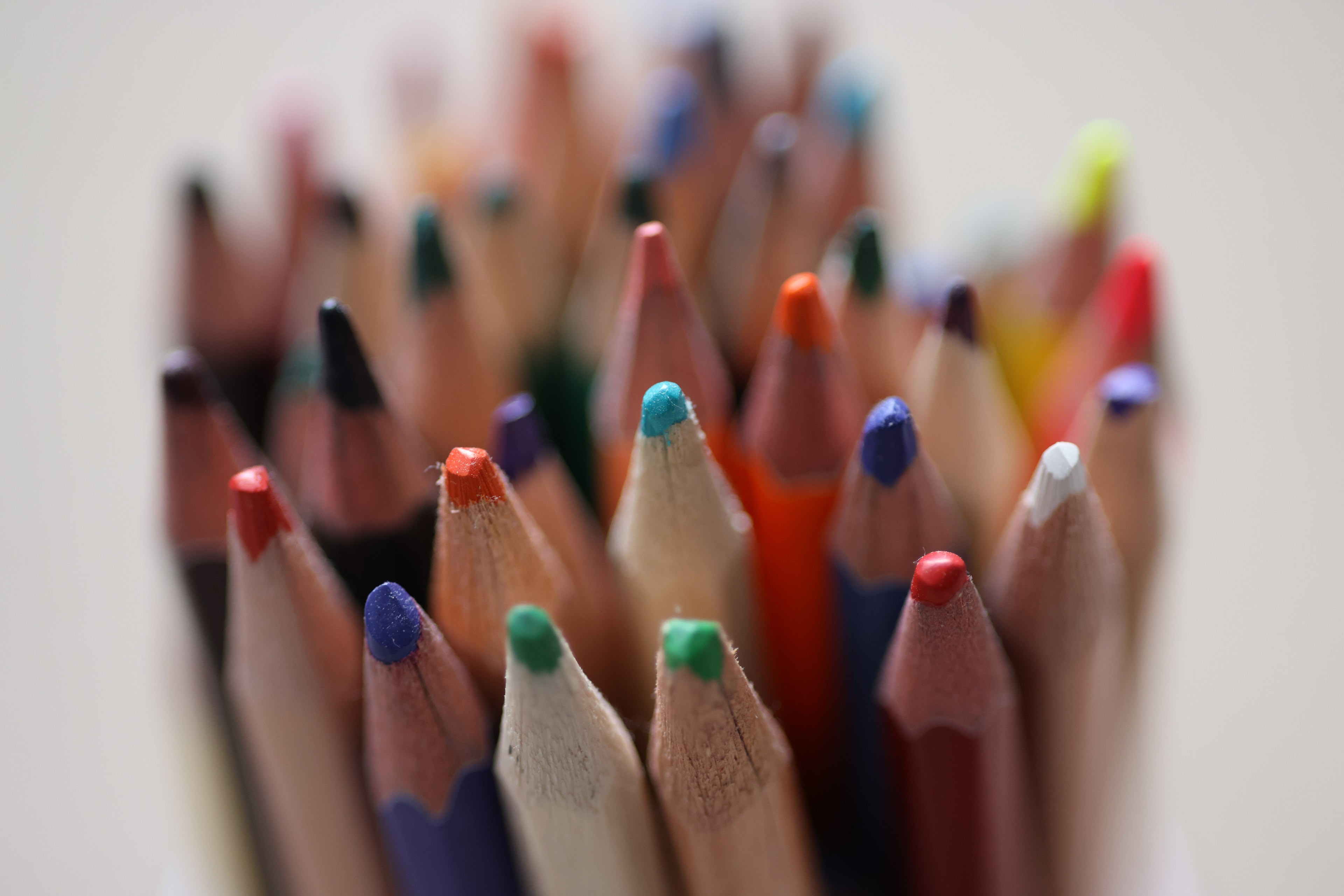 Best Canon Macro Lenses | Cameralabs