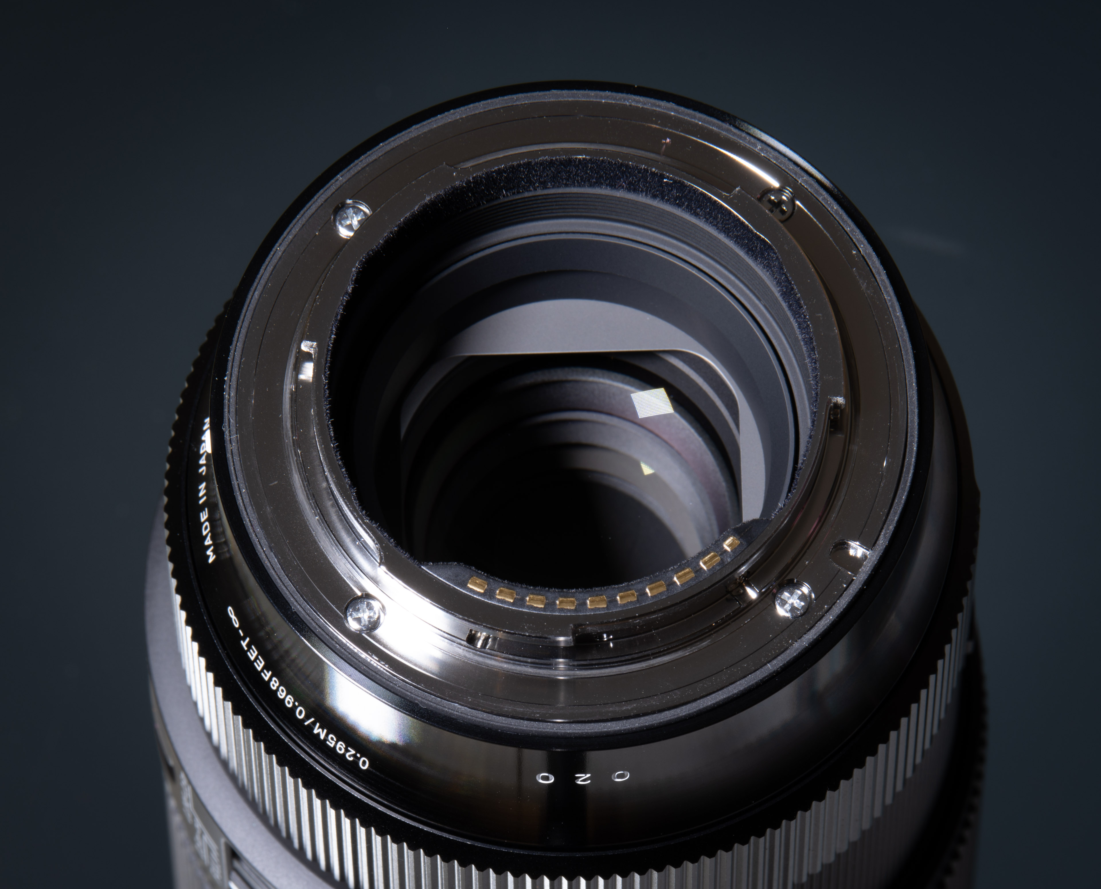 Sigma 105mm f2.8 DG DN Macro Art review | Cameralabs
