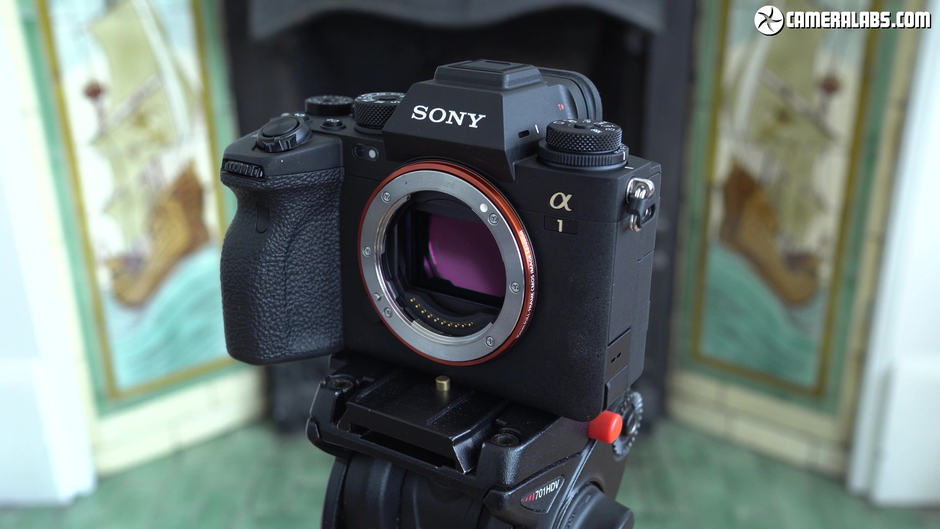Sony A1 review | Cameralabs
