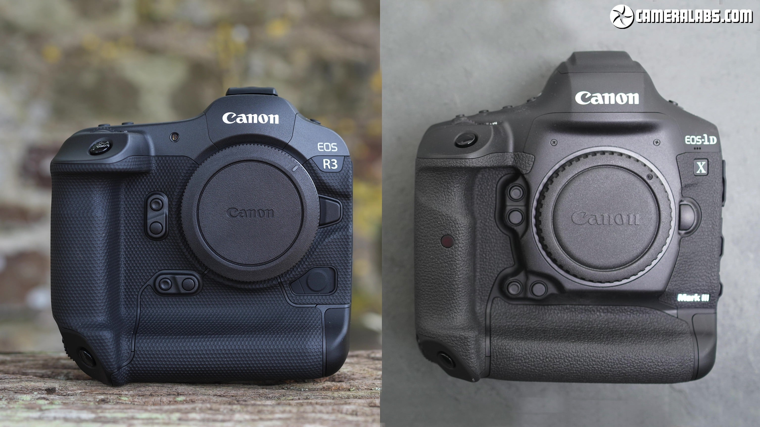 Canon EOS R3 review so far | Cameralabs